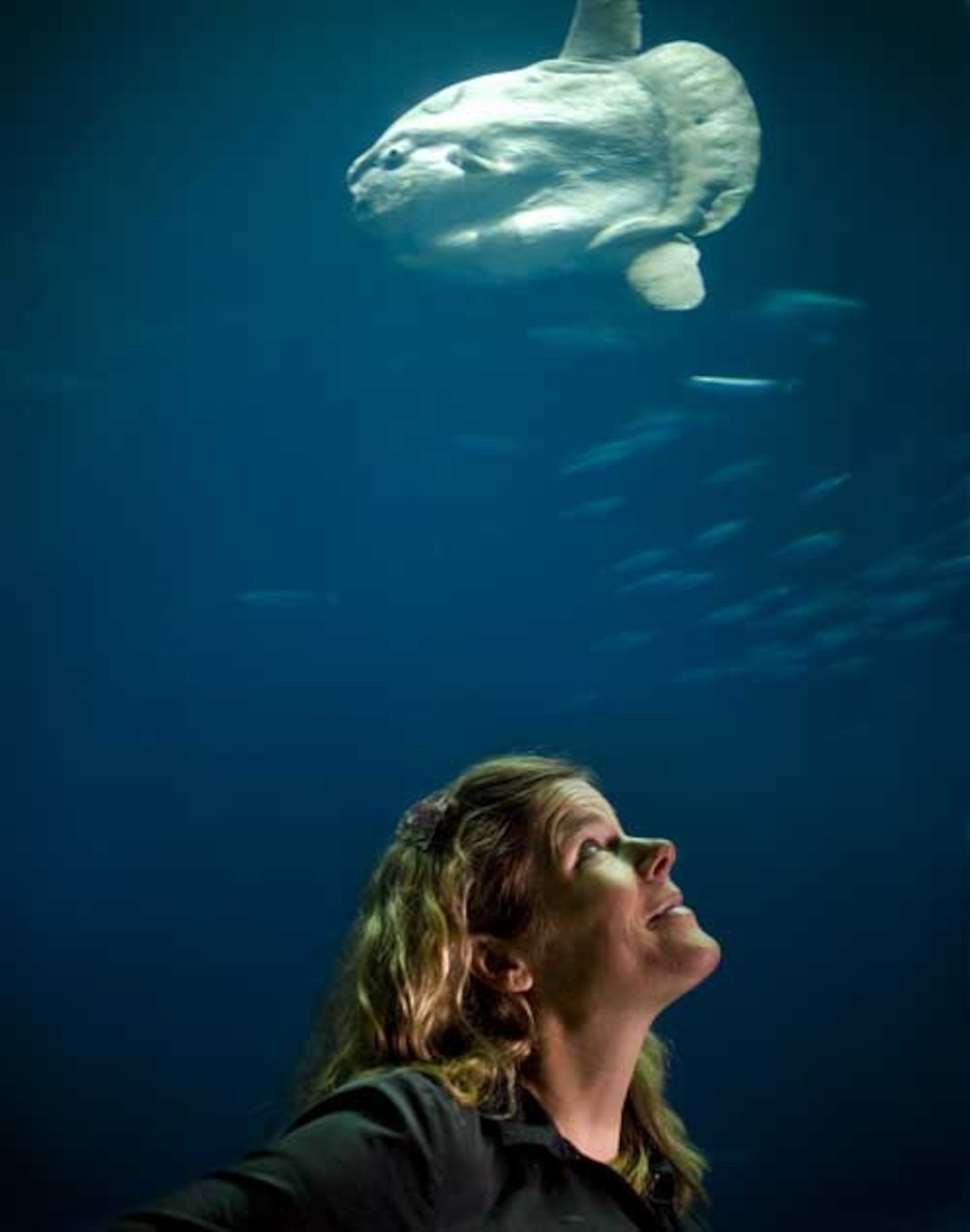 Tierney Thys: As Jellyfish Take Hold of Emptying Oceans, Molas to the ...