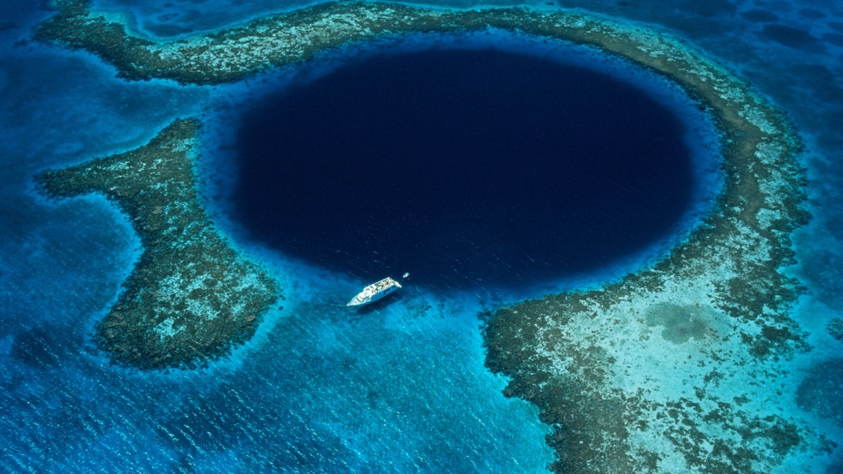 Where the rainforest meets the reef: 5 incredible places to visit in ...