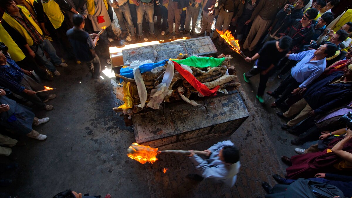 Man on Fire | National Geographic