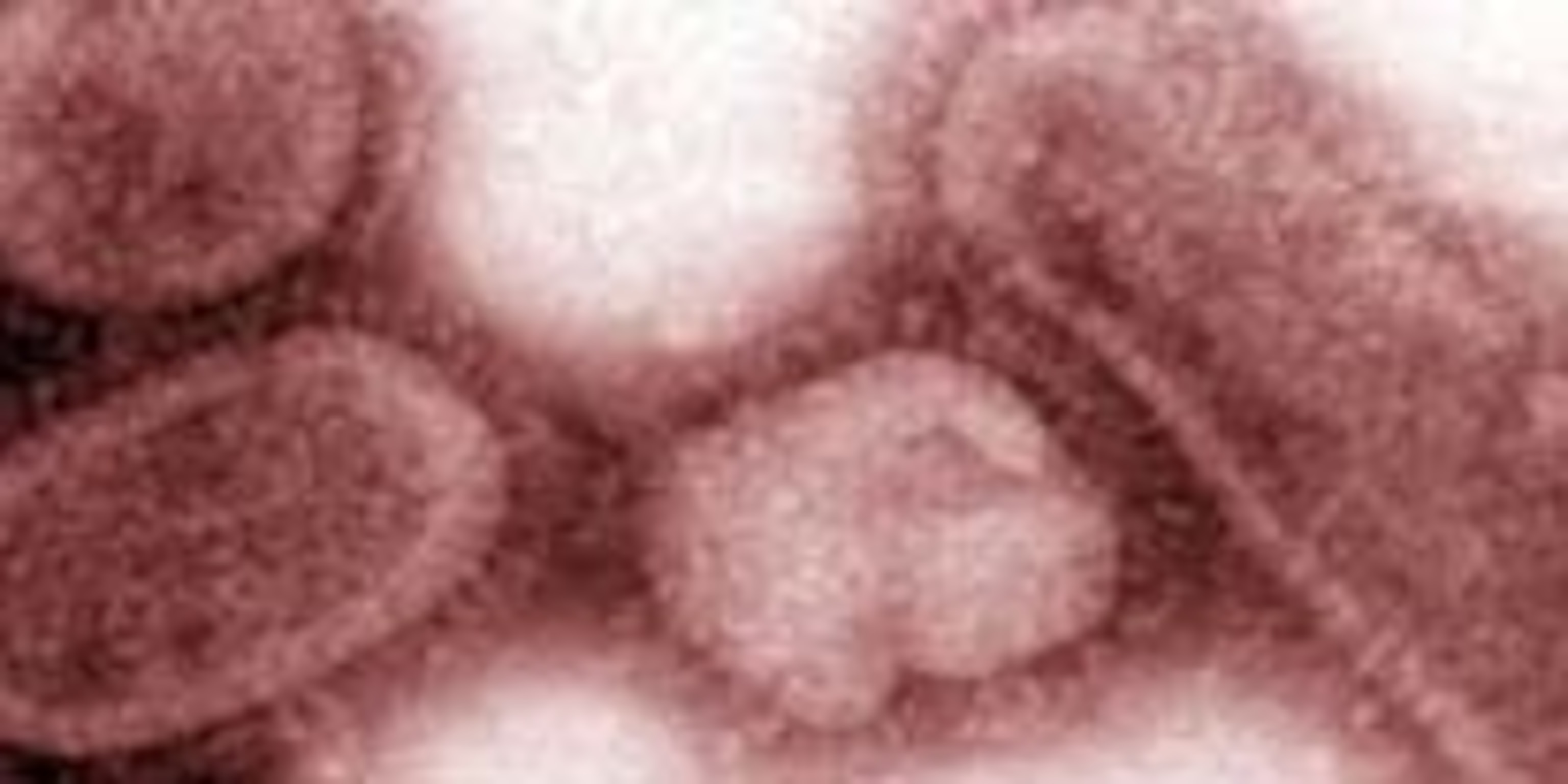 Flu survivors still immune after 90 years