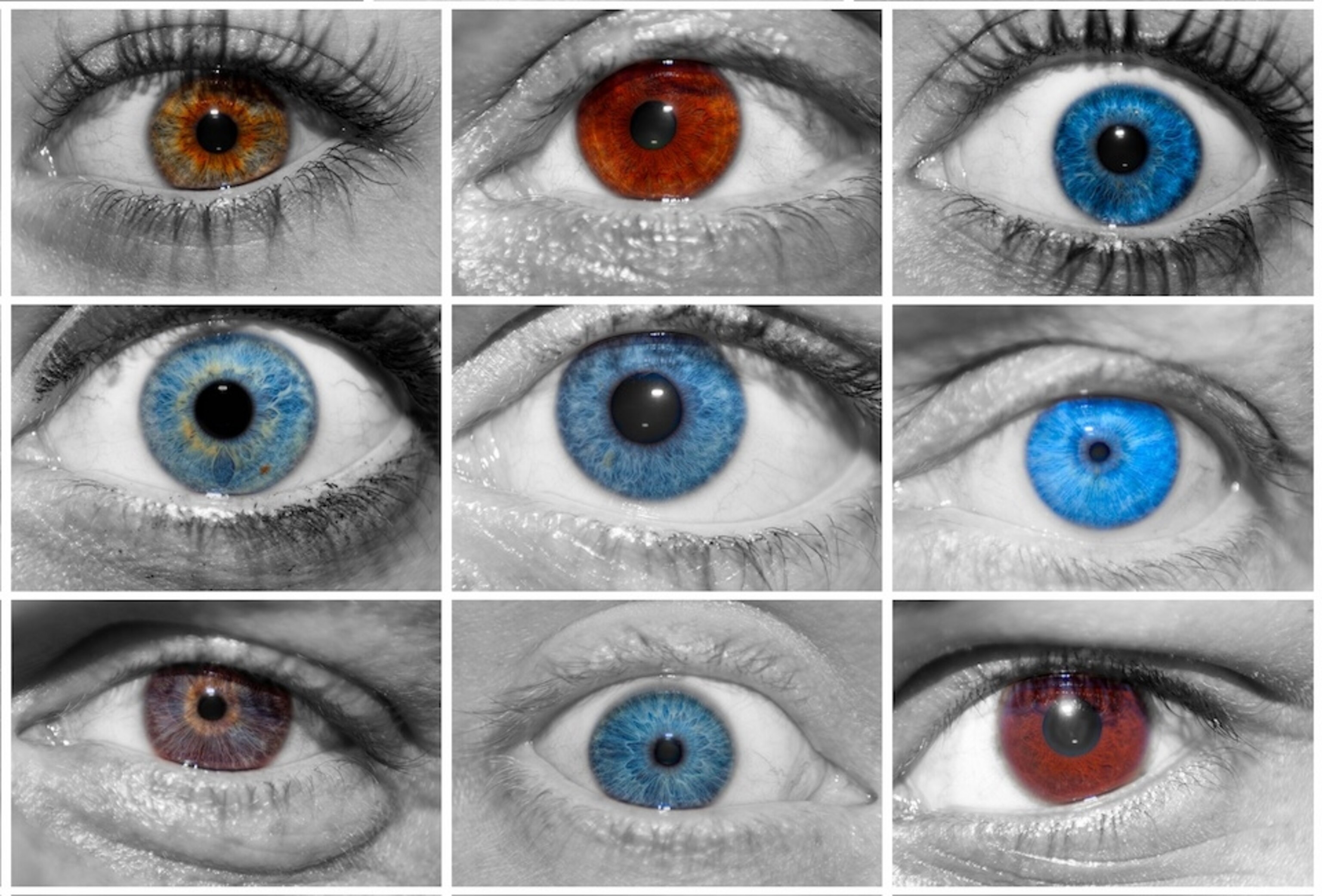 A Cure for Colorblindness