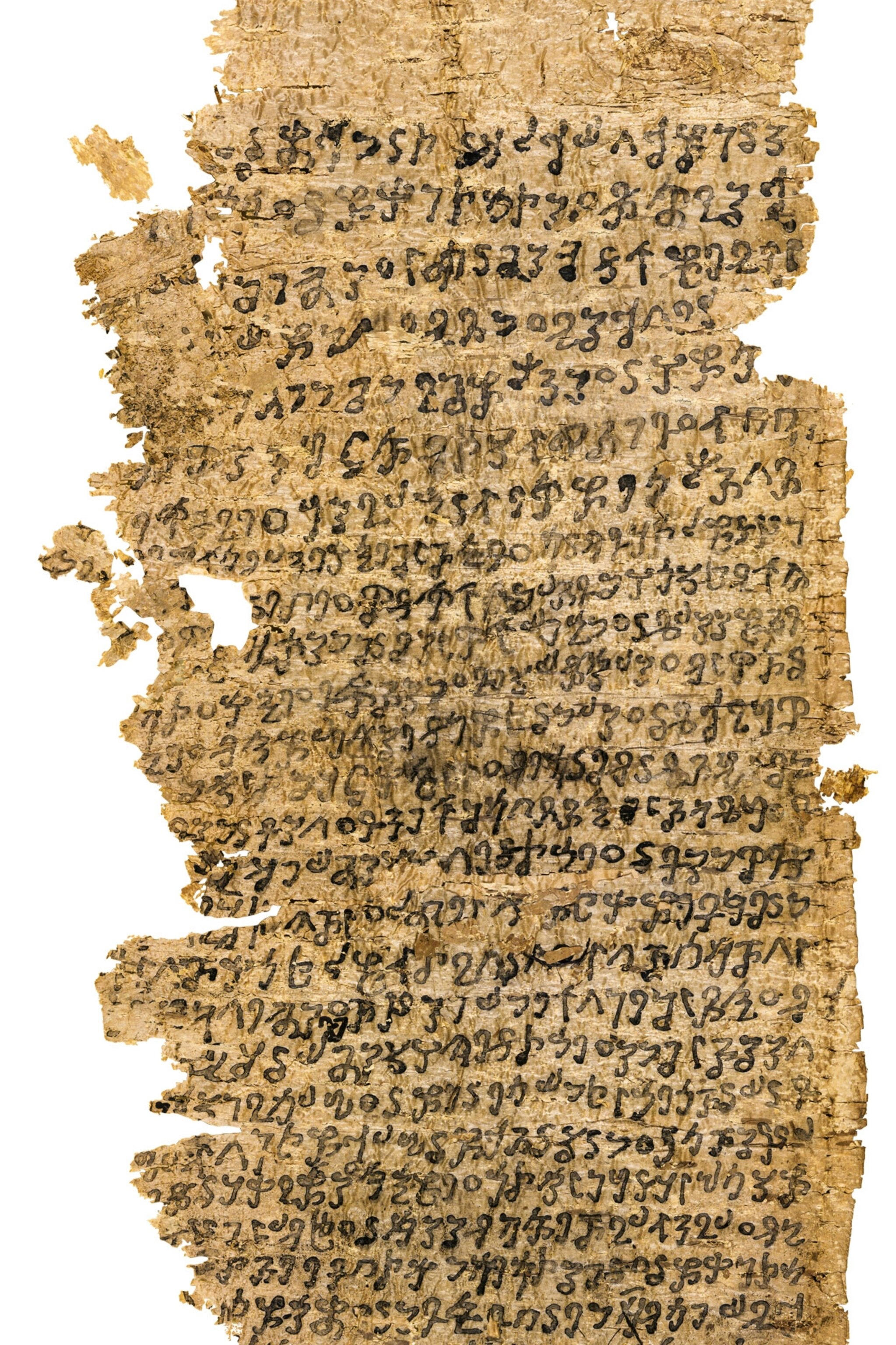The Buddha's birthplace grants insights about his life and times