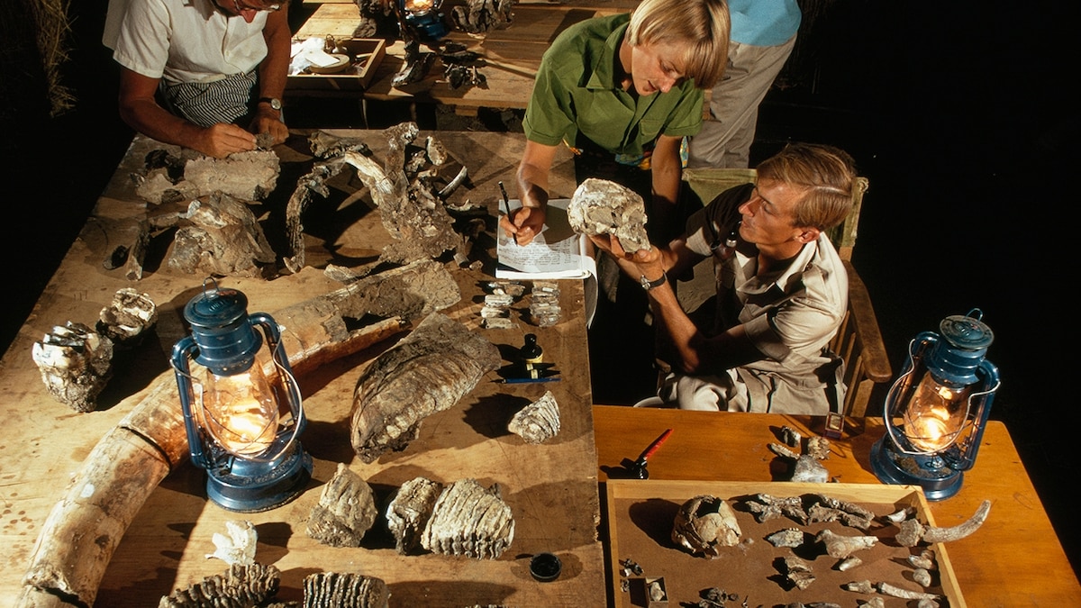Inside Richard Leakey's discovery of an ancient human ancestor skull ...
