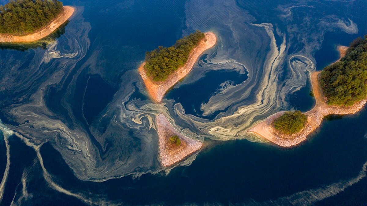 SHOULD WE WORRY ABOUT POPULATION DECLINE? | National Geographic