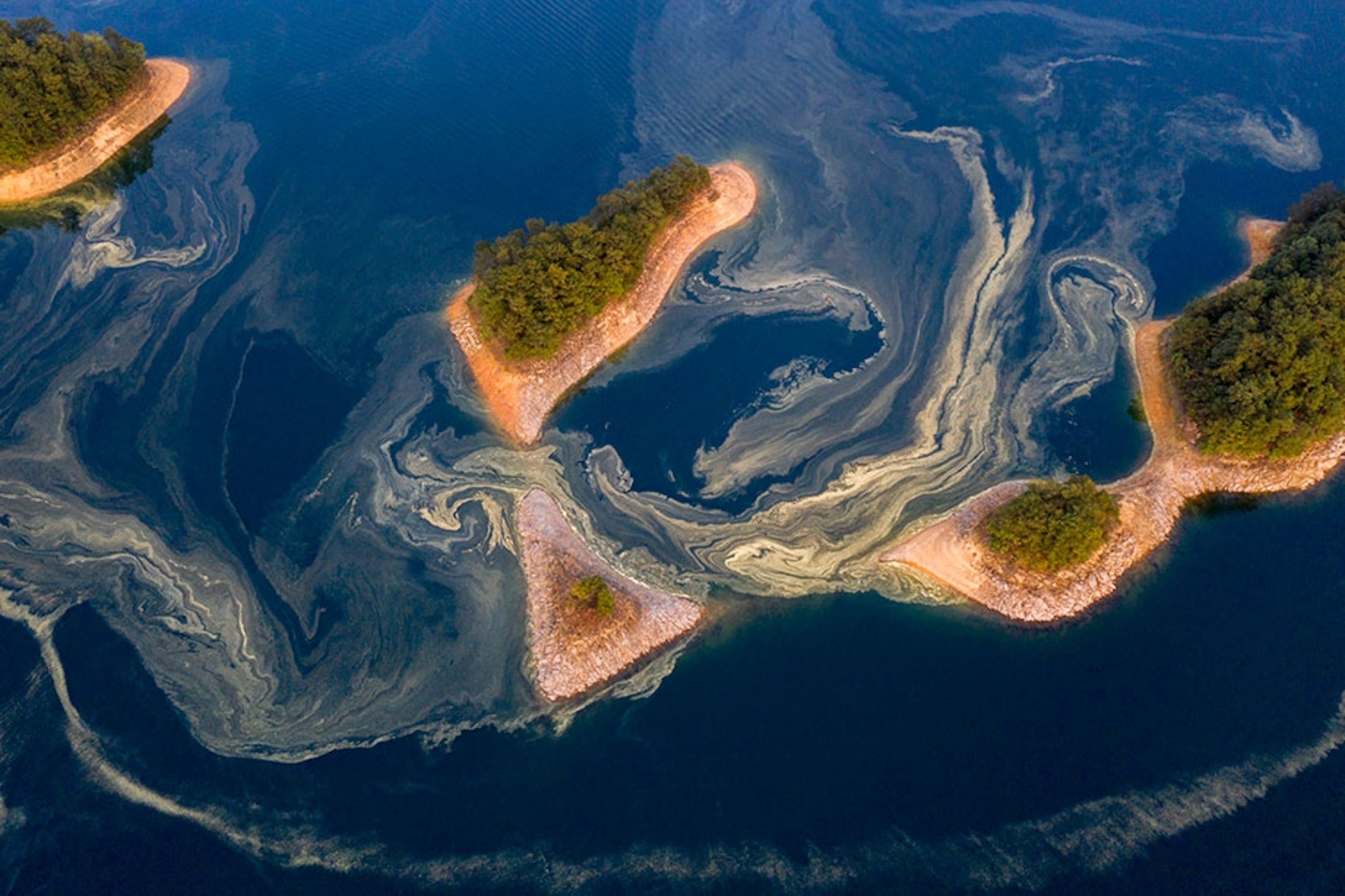 SHOULD WE WORRY ABOUT POPULATION DECLINE?