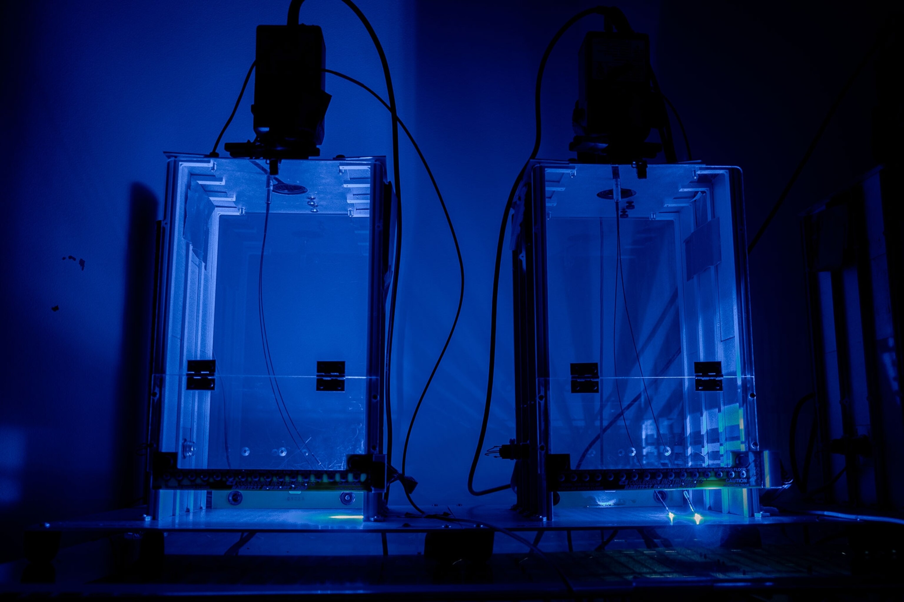 Memories Can Be Altered in Mice. Are Humans Next?