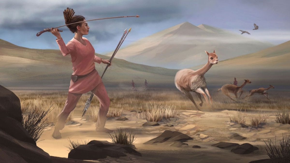 Prehistoric female hunter discovery upends gender role assumptions ...