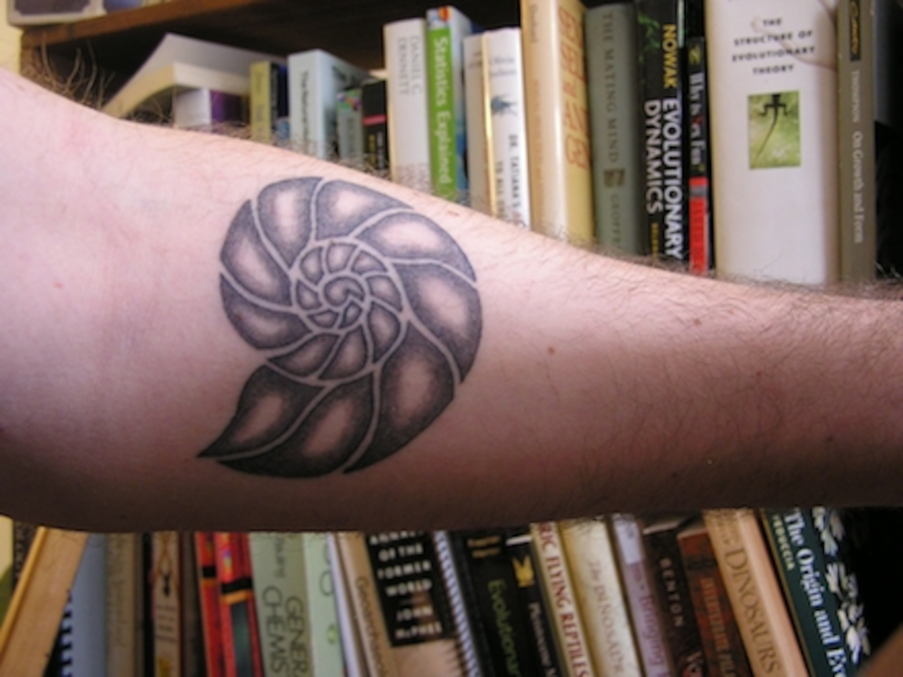 On Growth and Ink [Science Tattoo] | National Geographic
