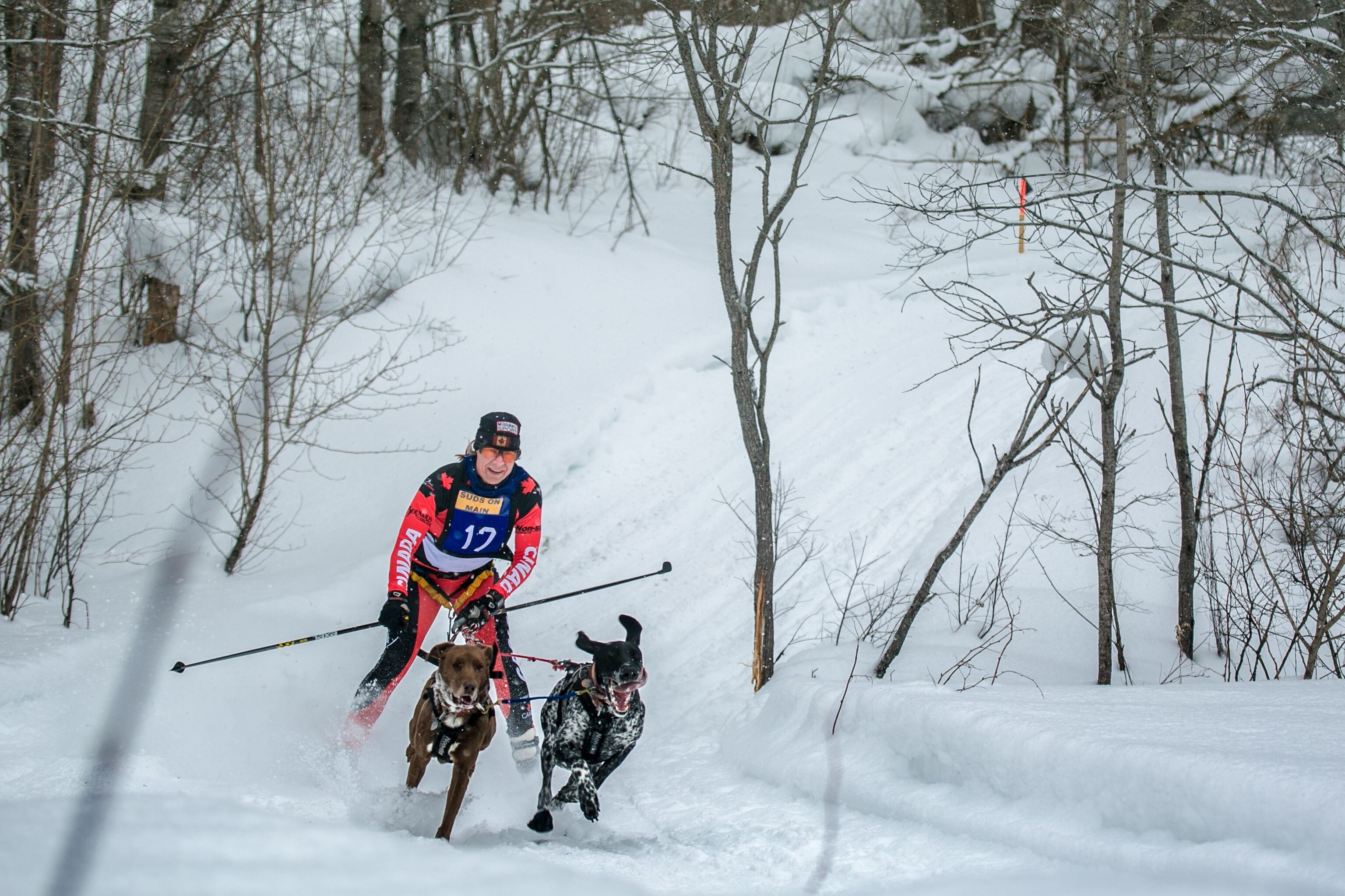 Your Adventure Dogs Photos | National Geographic