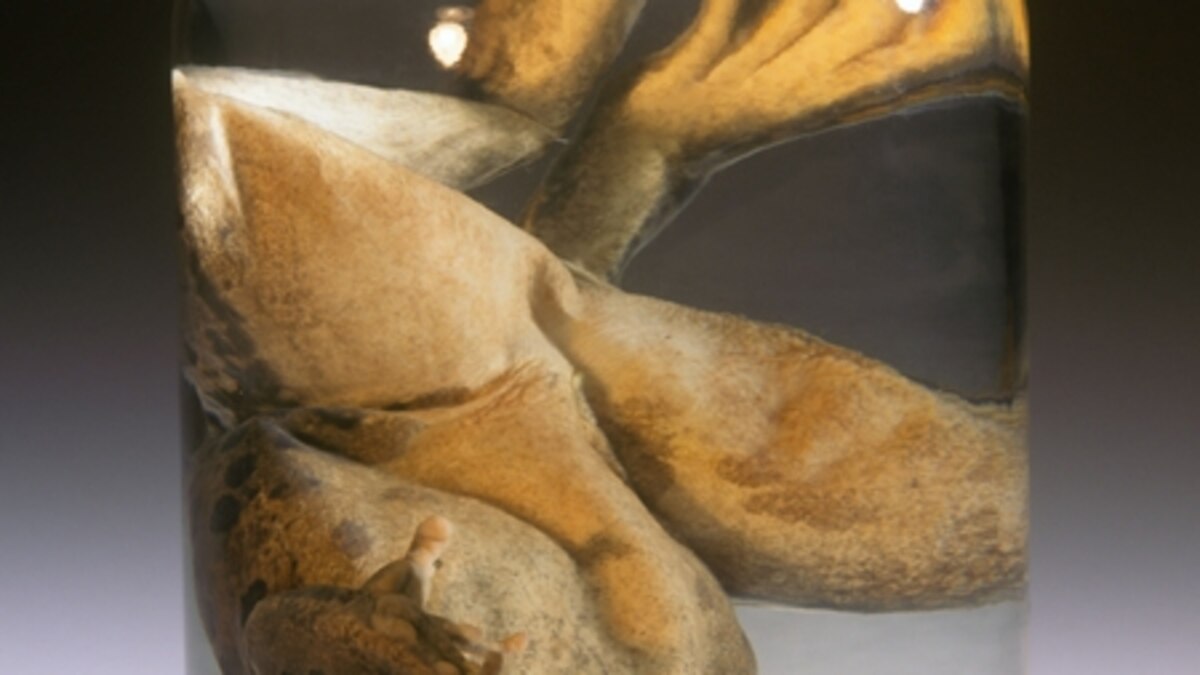 Space Poison Helped Start Life on Earth? | National Geographic