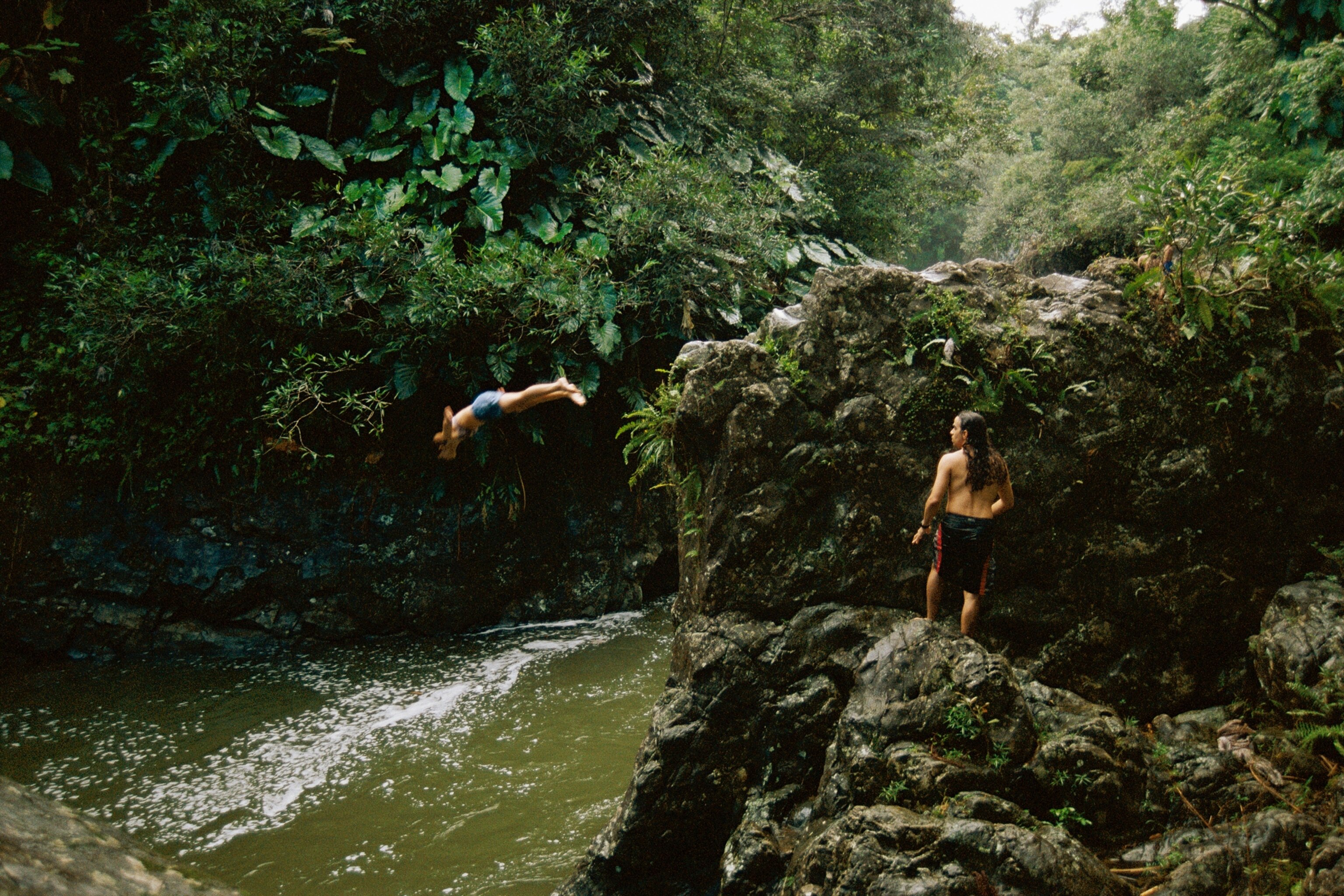 Splash into spring with these 31 radiant photos from the Nat Geo archives