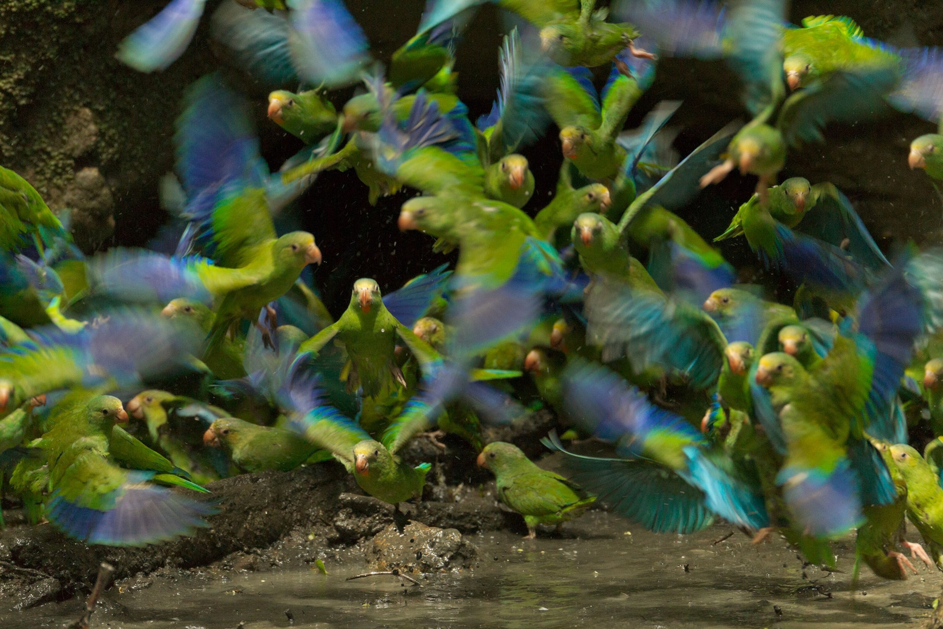 On World Environment Day, experience 50 amazing photos of Earth