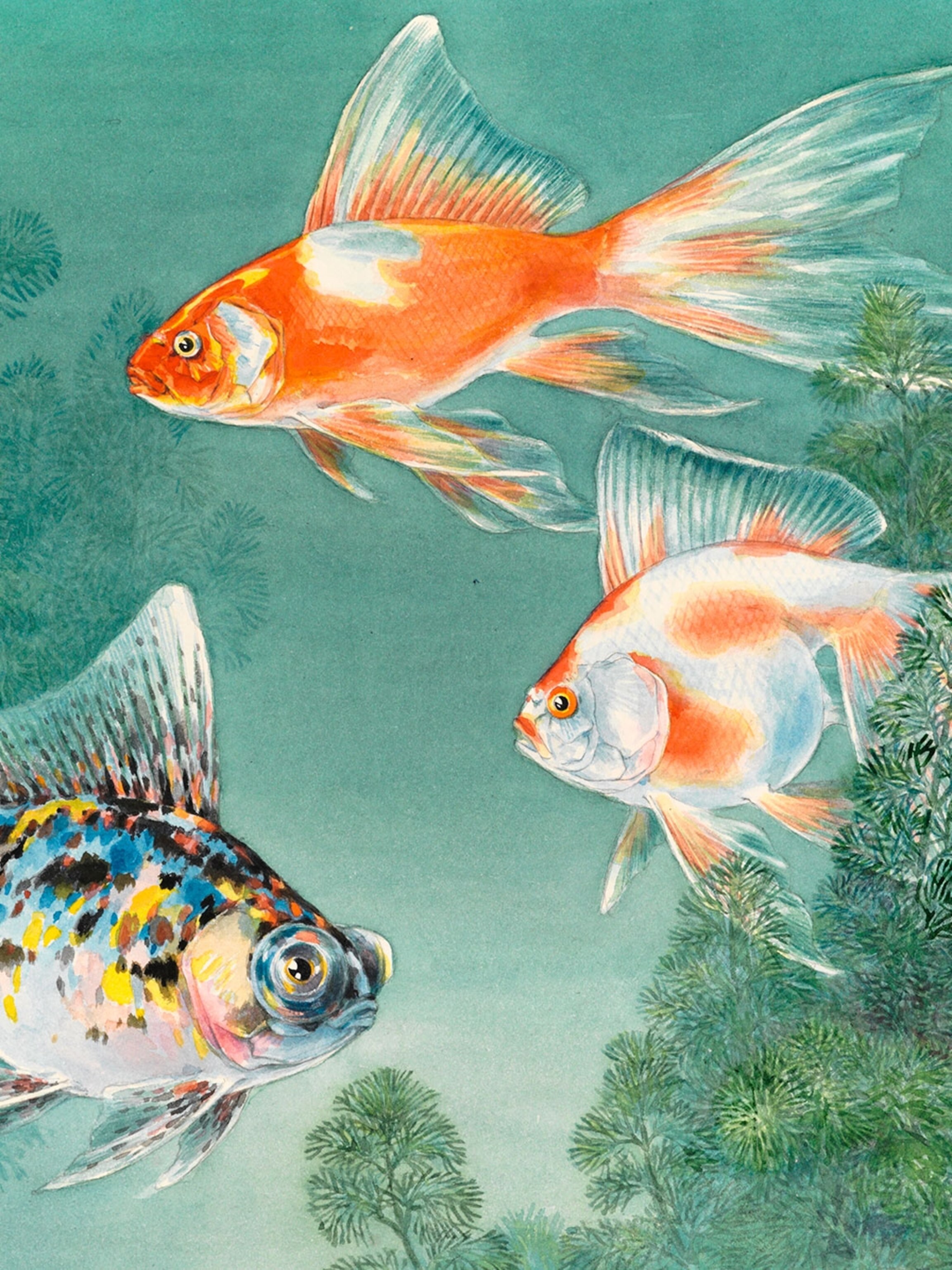 Telescope Goldfish Art