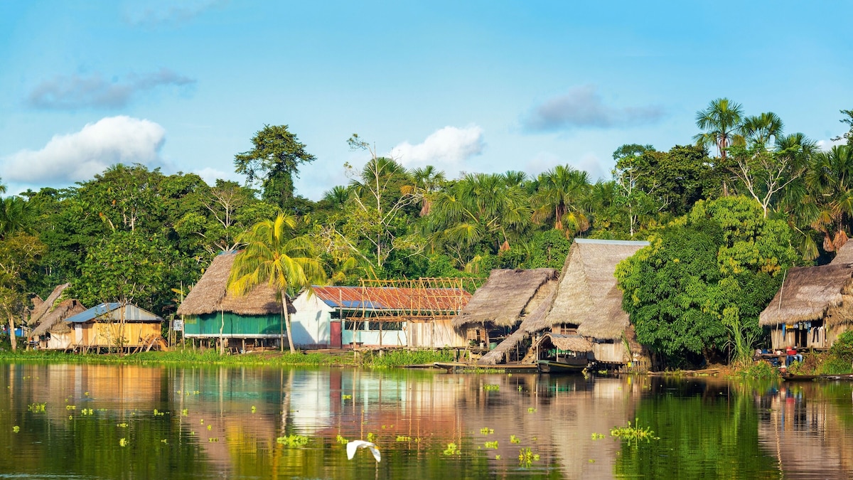 Parrots, piranhas and pink river dolphins on a cruise through the ...