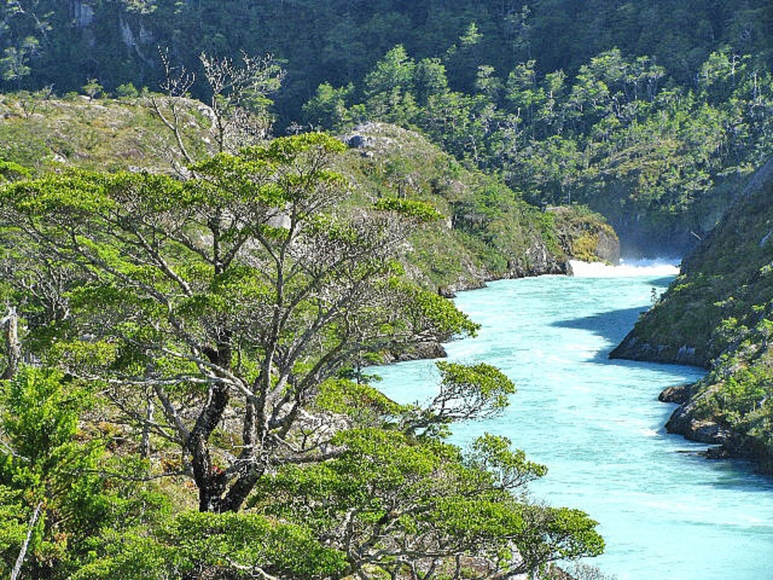 A Battle Over the Quest to Tap Patagonia’s Rivers for Energy