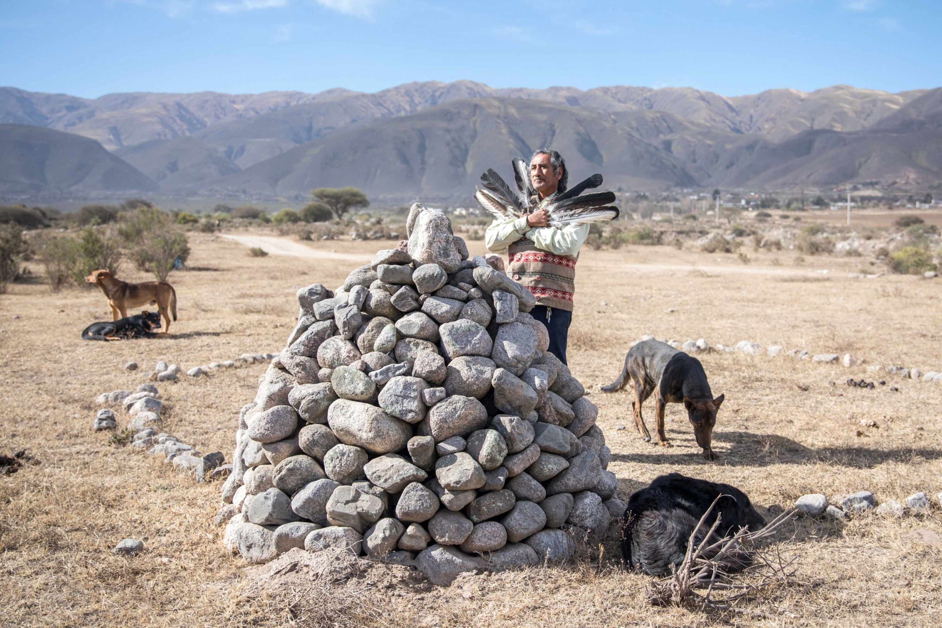 A look inside the monumental effort to save the Andean condor