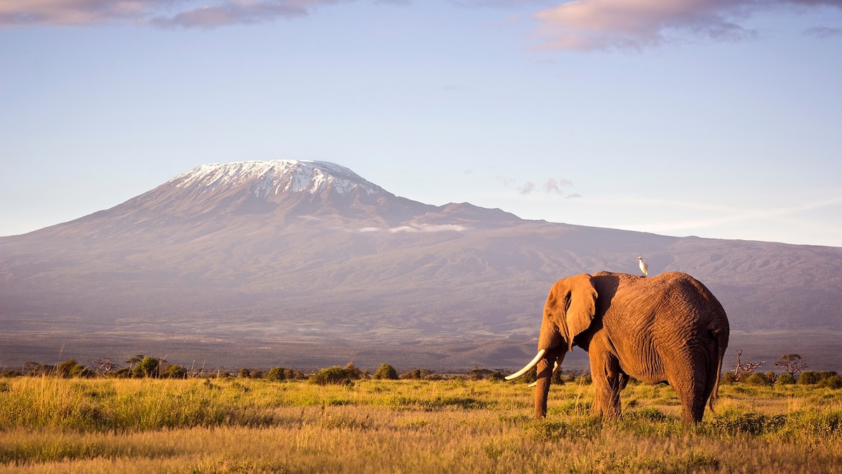 Where to see elephants ethically while traveling | National Geographic