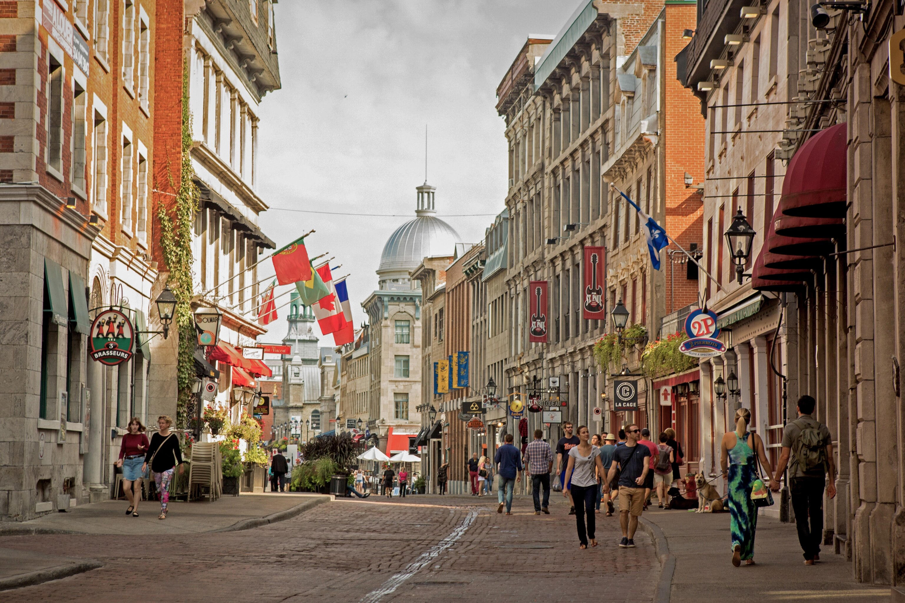 The Best of Must-See Montreal