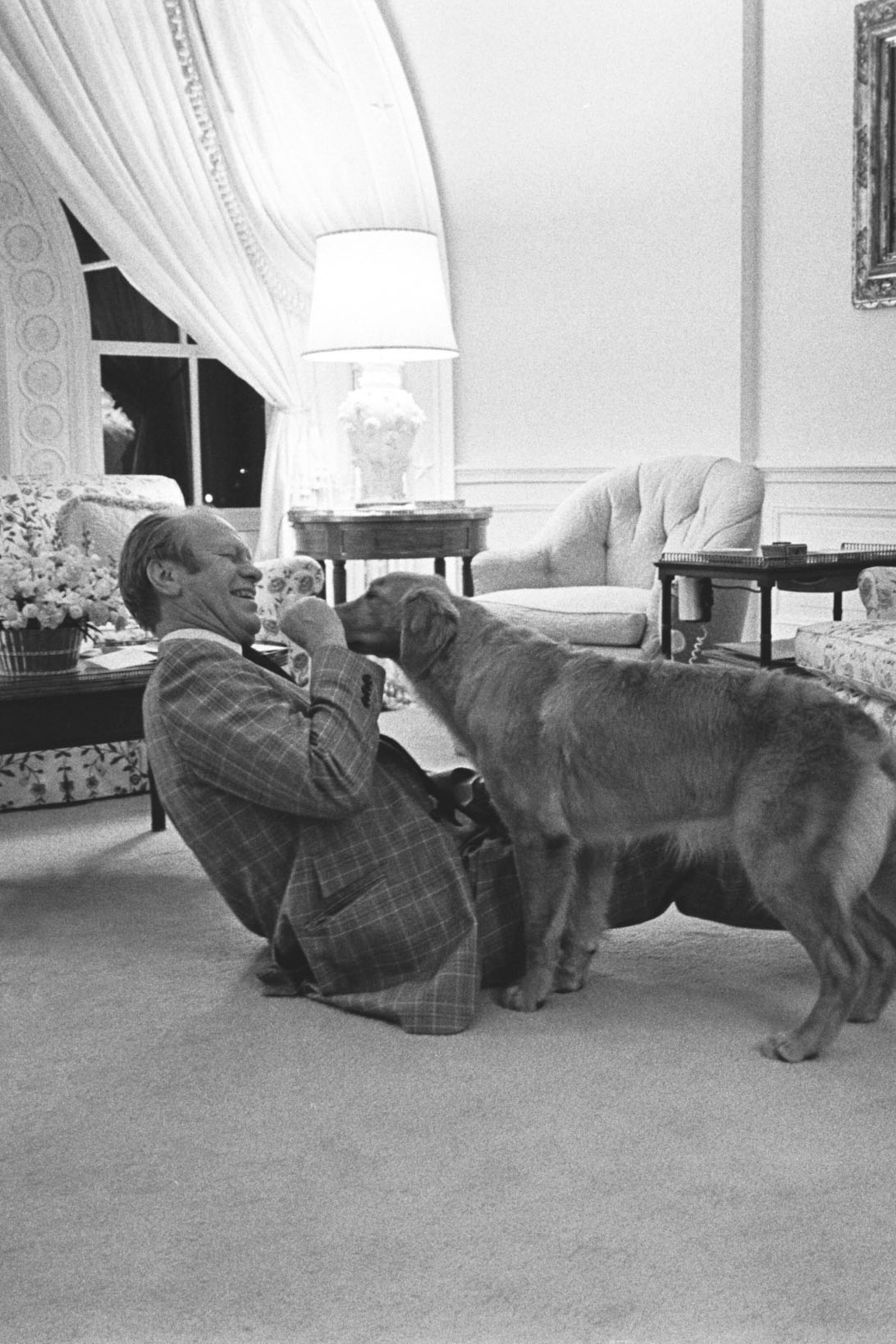 Are Dogs In Samoa A Problem