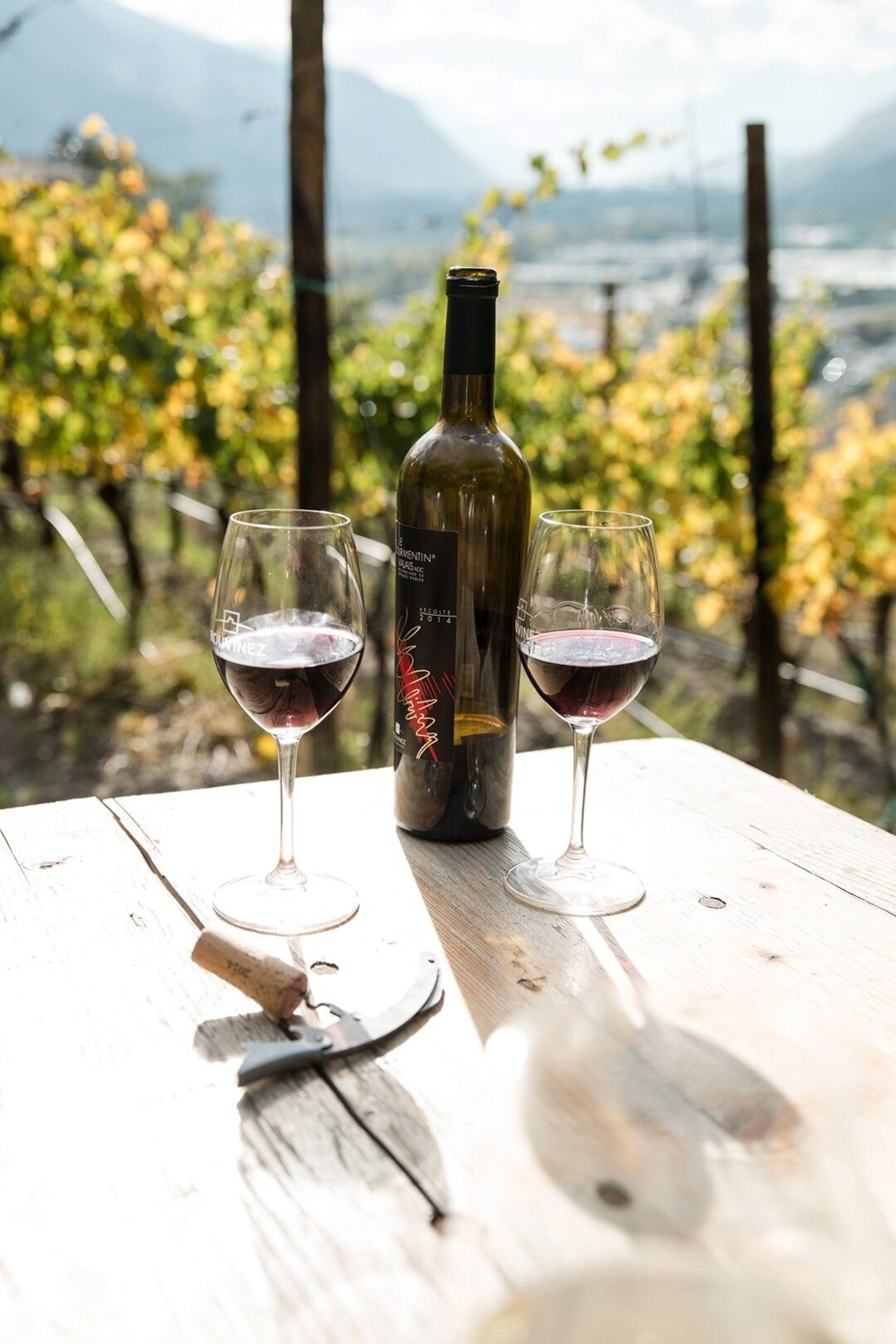 A guide to Alpine wine and where to enjoy it