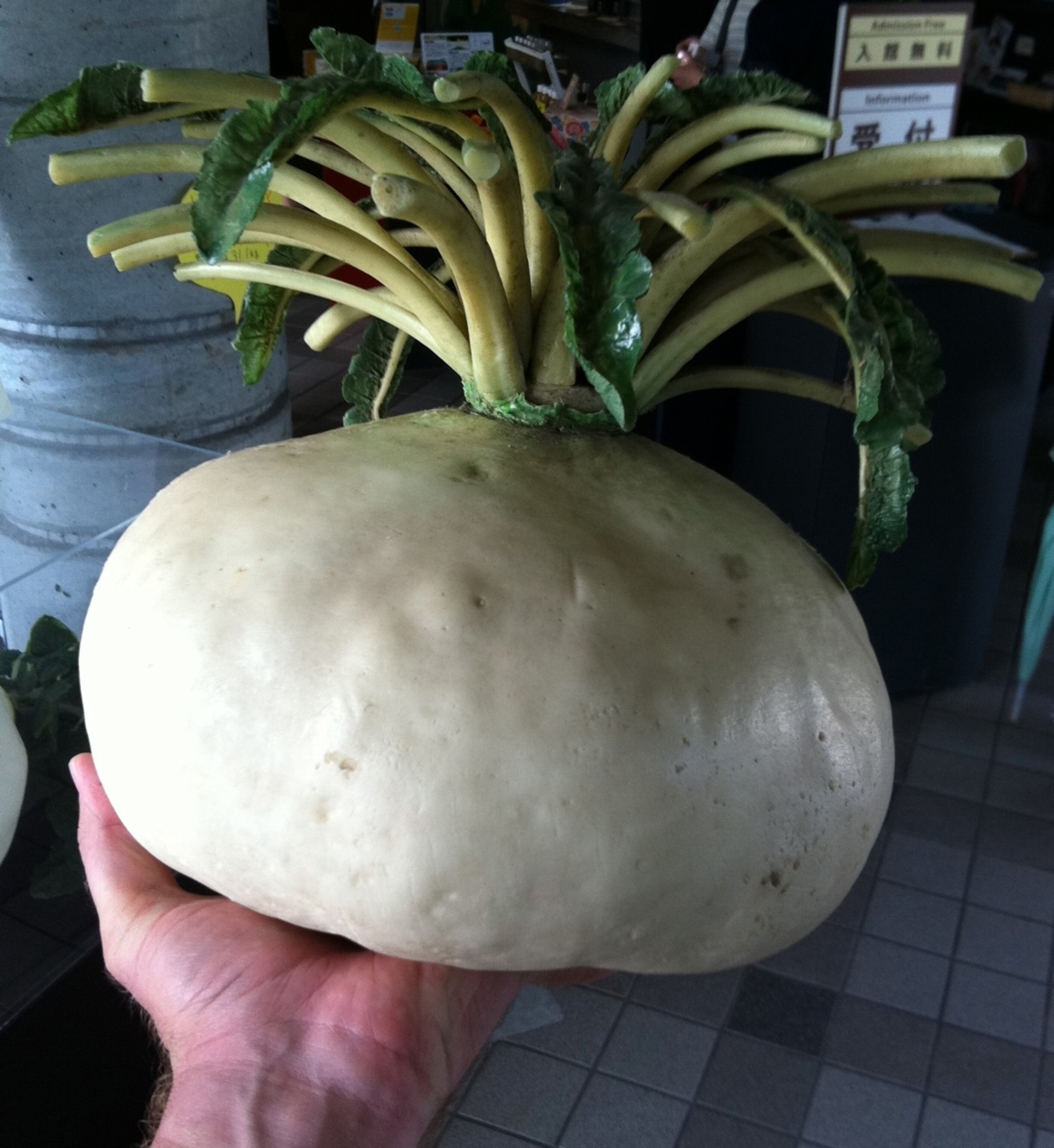 Japanese China from England (Part 1)