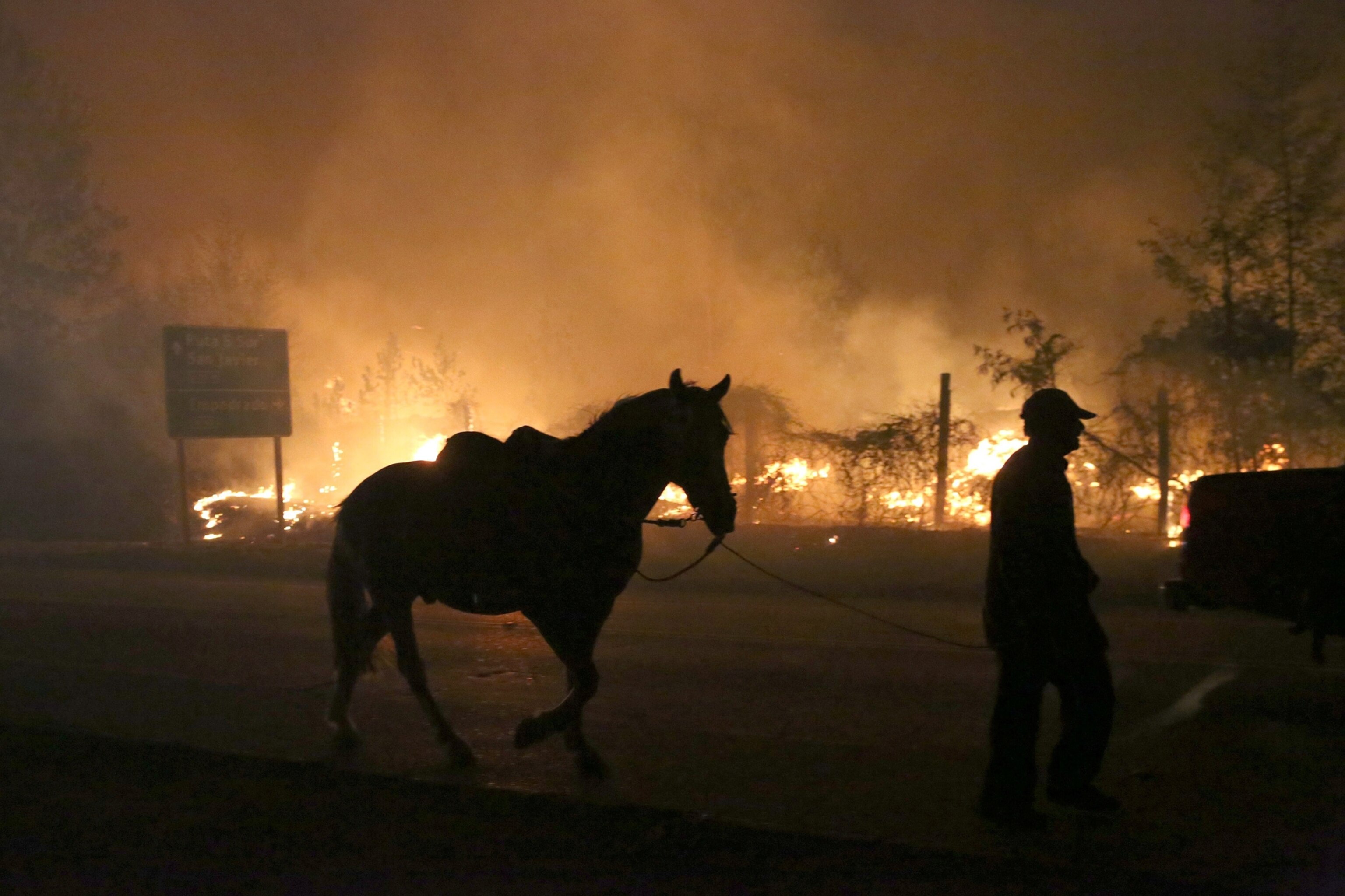 The Worst Wildfires in Chile’s History Revealed in Pictures