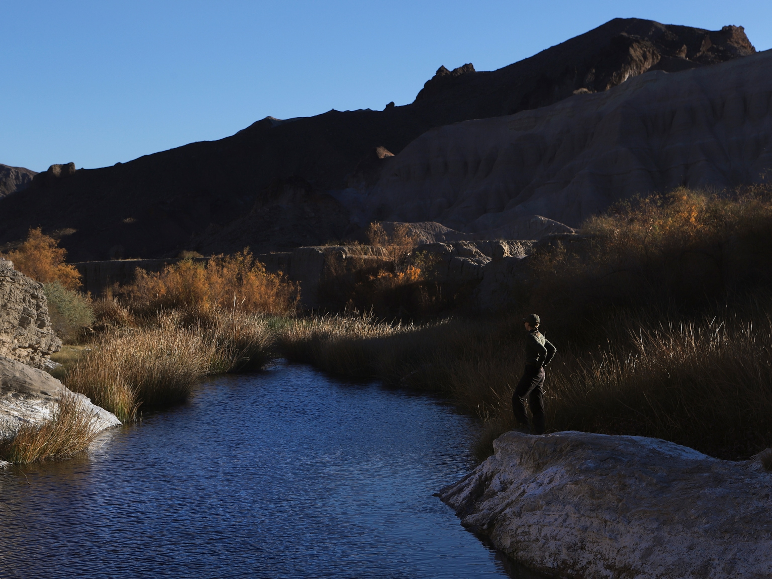 Habitats -- Threats to Desert Pictures, Wallpapers, Downloads ...