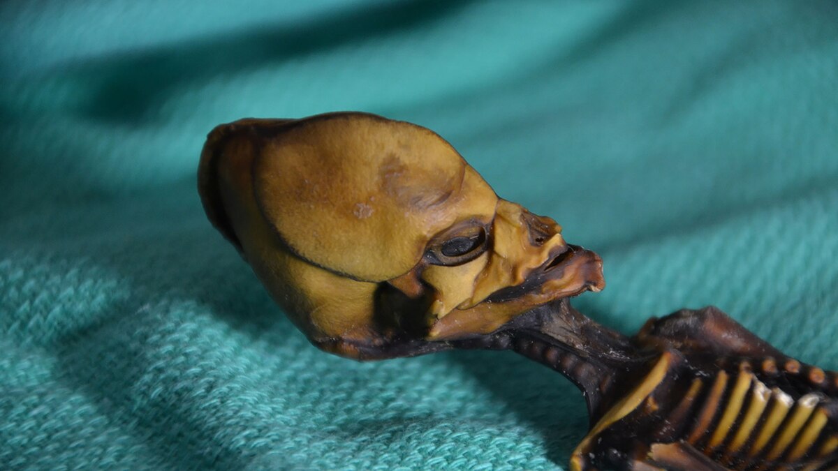 Tiny Mummy’s ‘Alien’ Appearance Finally Explained | National Geographic