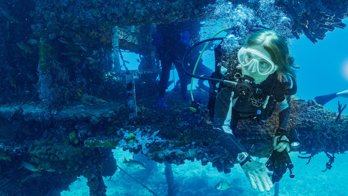 How Sylvia Earle fell in love with the ocean—and why she never stopped ...