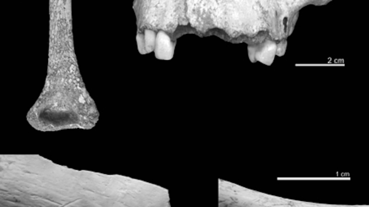 Human Meat Just Another Meal for Early Europeans? | National Geographic