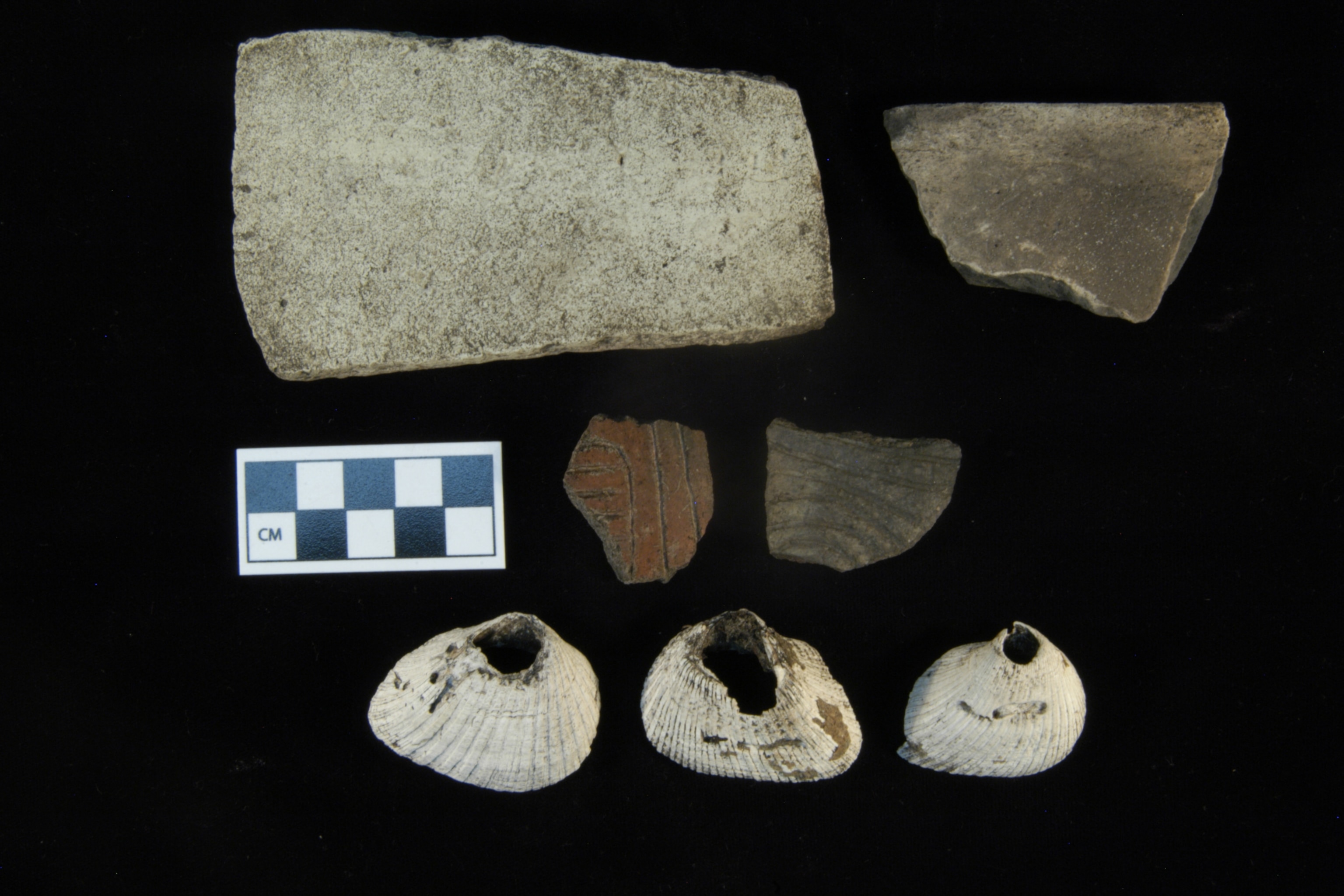 Home of Indigenous Calusa King Rediscovered in Florida