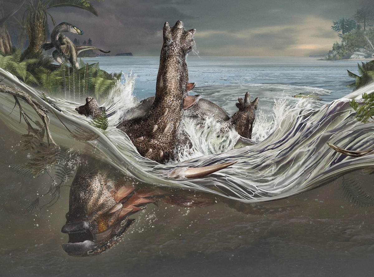 Discover How This Dinosaur Became an Extraordinary Fossil | National ...