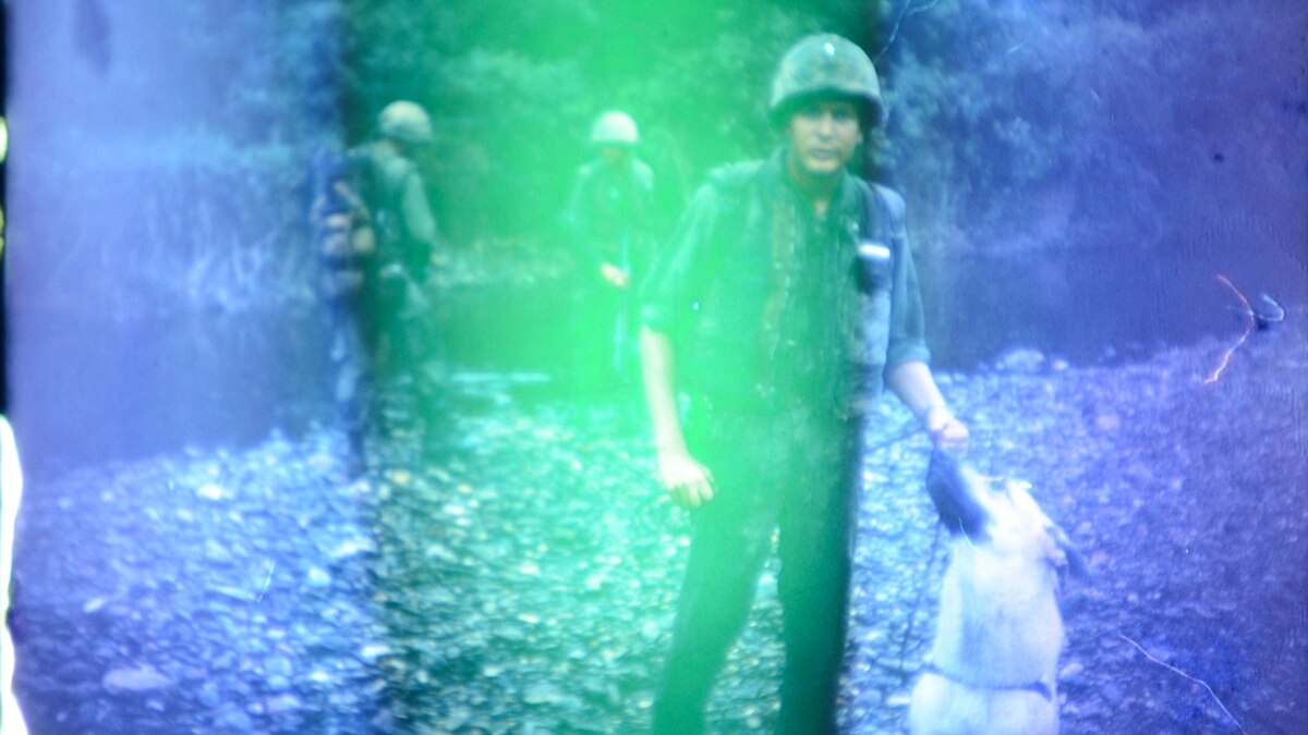 Dogs at War: Left Behind in Vietnam | National Geographic