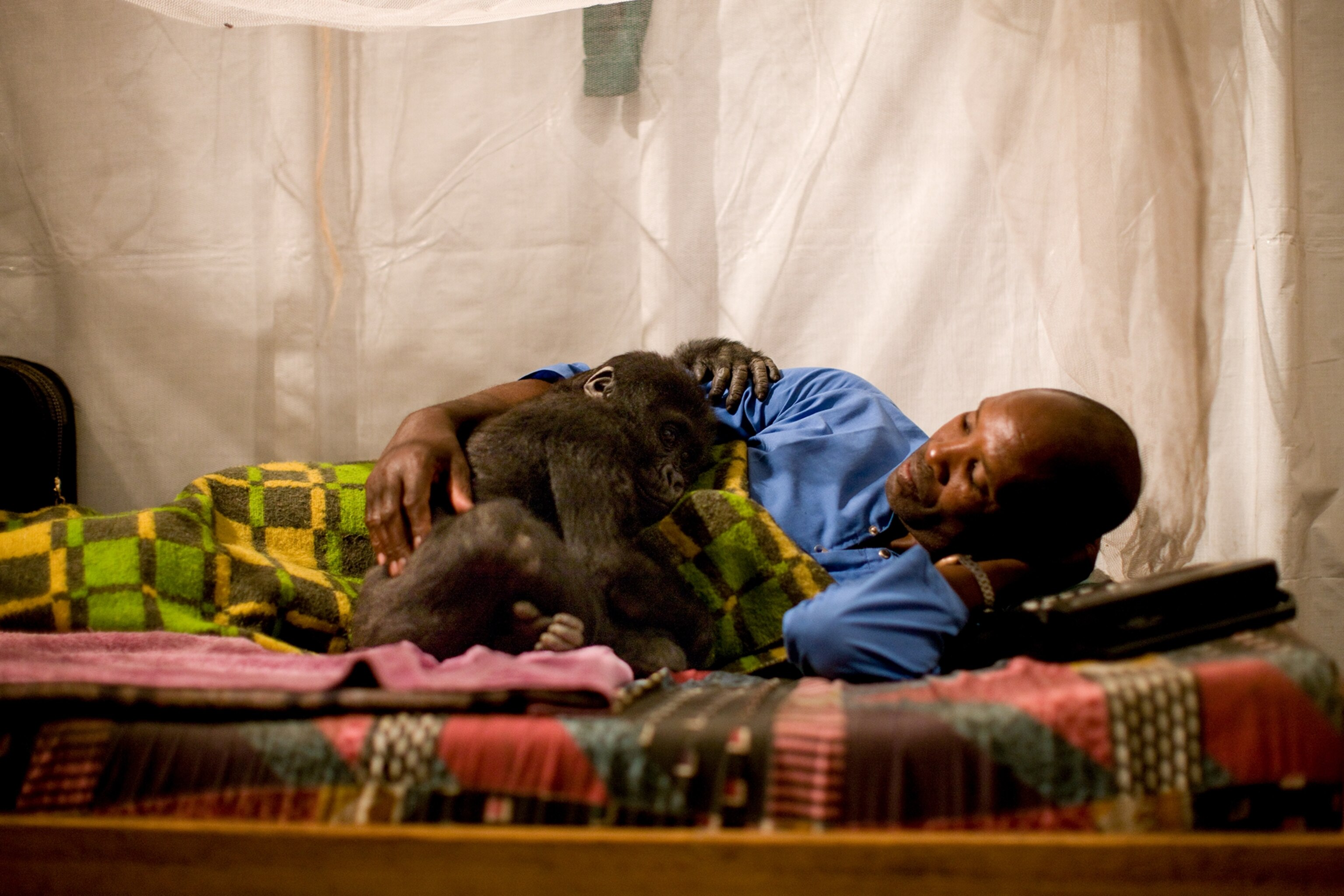 For Rangers on the Front Lines of Anti-Poaching Wars, Daily Trauma