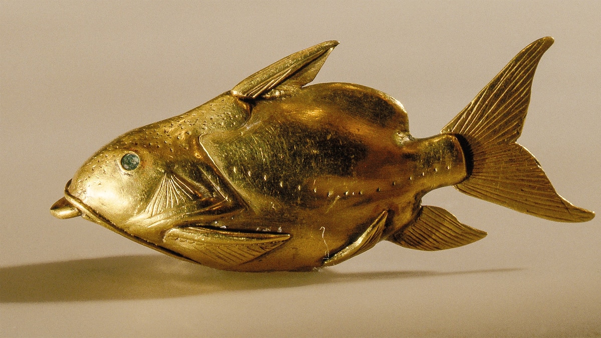 Egypt's first pharaohs loved catfish—and worshipped them | National ...