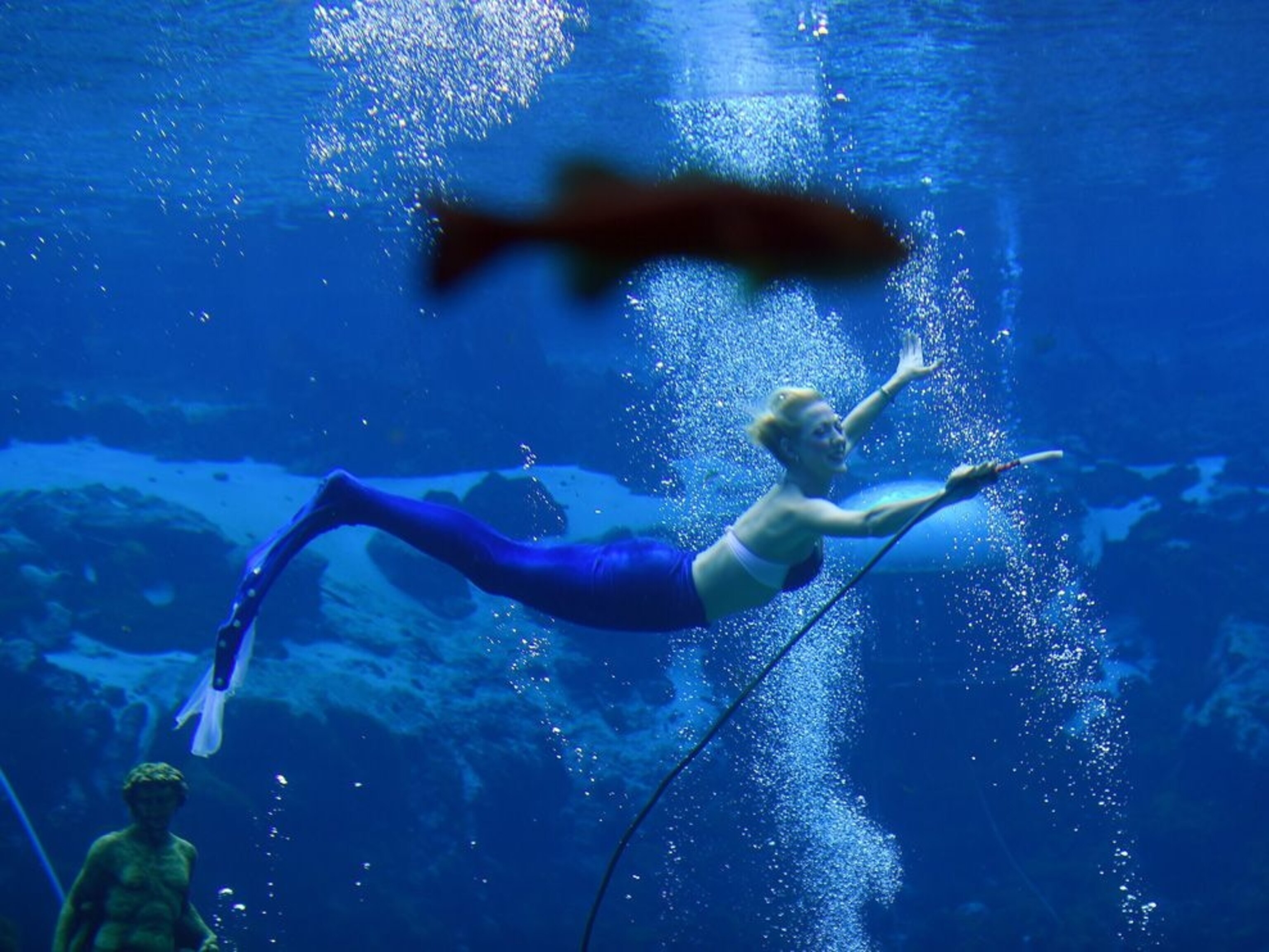 Photos: Beneath the Surface in Florida -- National Geographic Travel