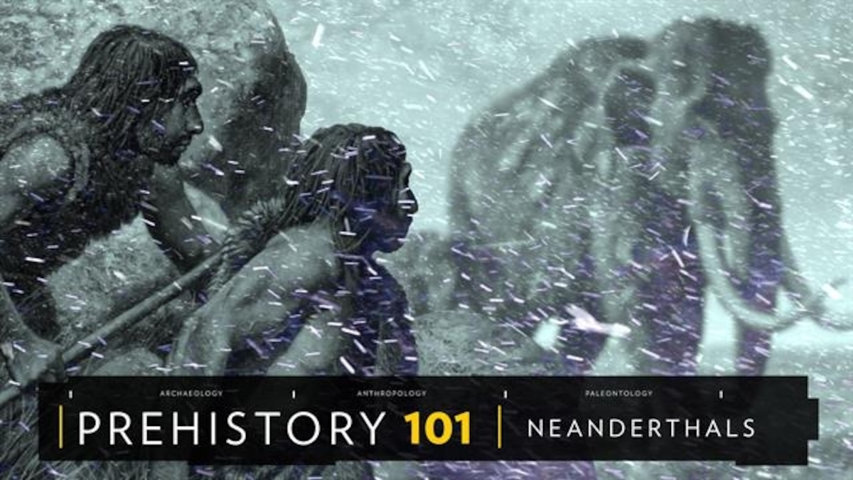 Large Carnivores May Have Scavenged on Neanderthals, Study Finds ...