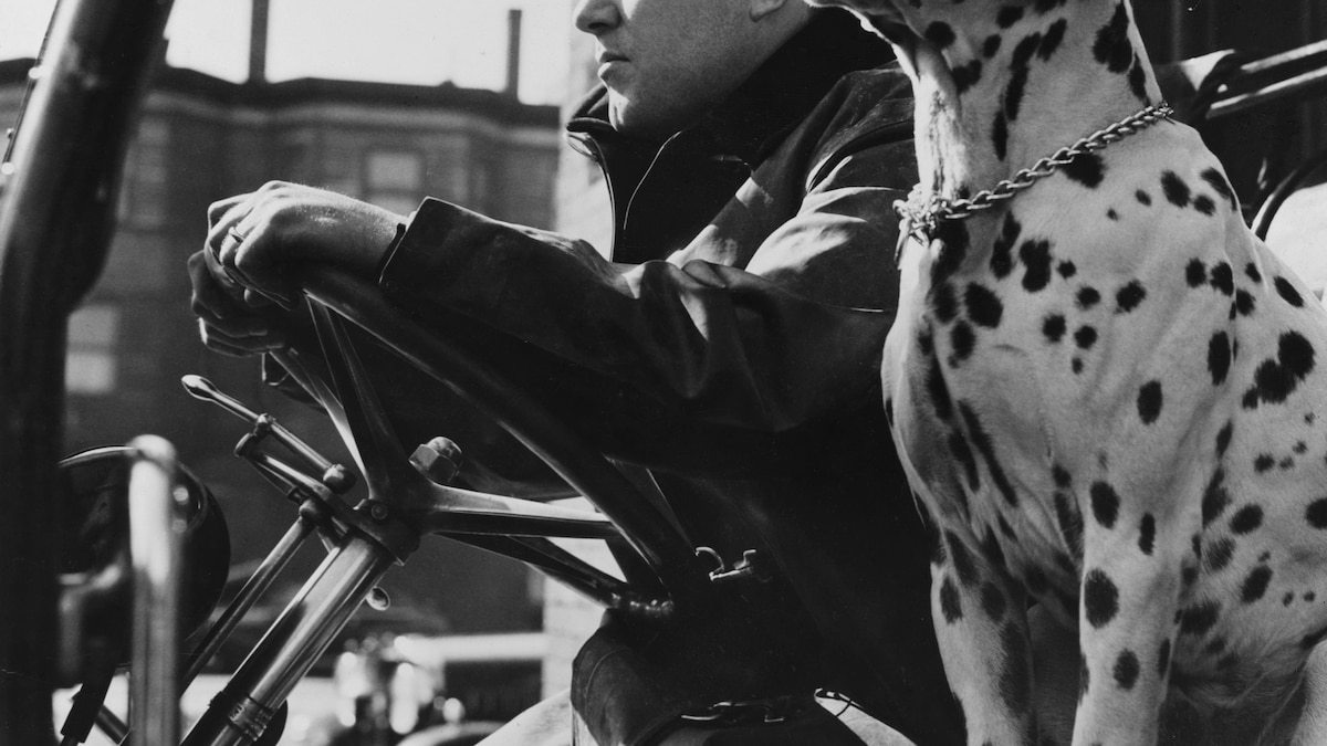 Picture Archive: The Streets of Boston, 1930s and 1940s | National ...