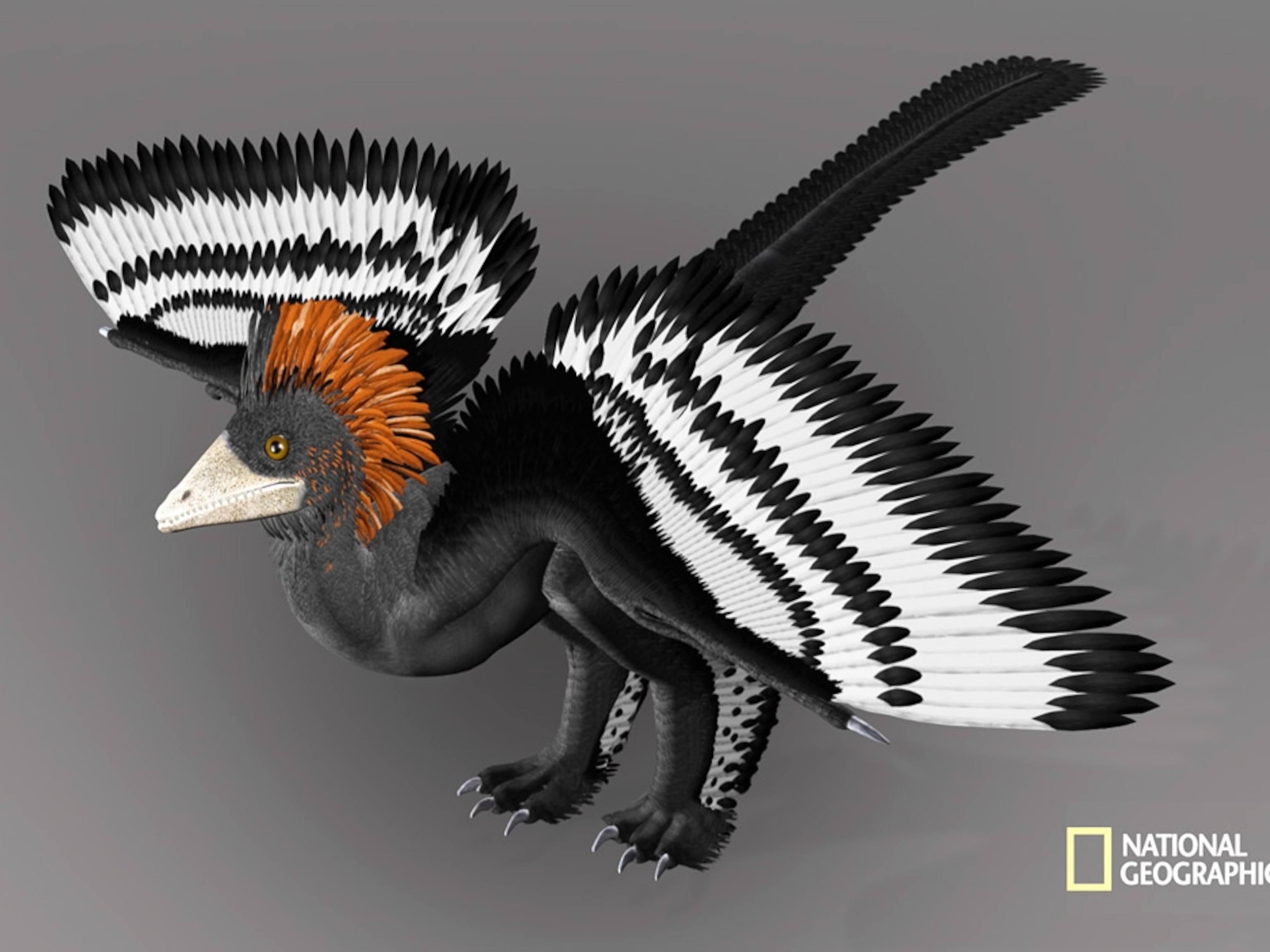 True-Color Dinosaur Revealed -- First Full-Body Rendering