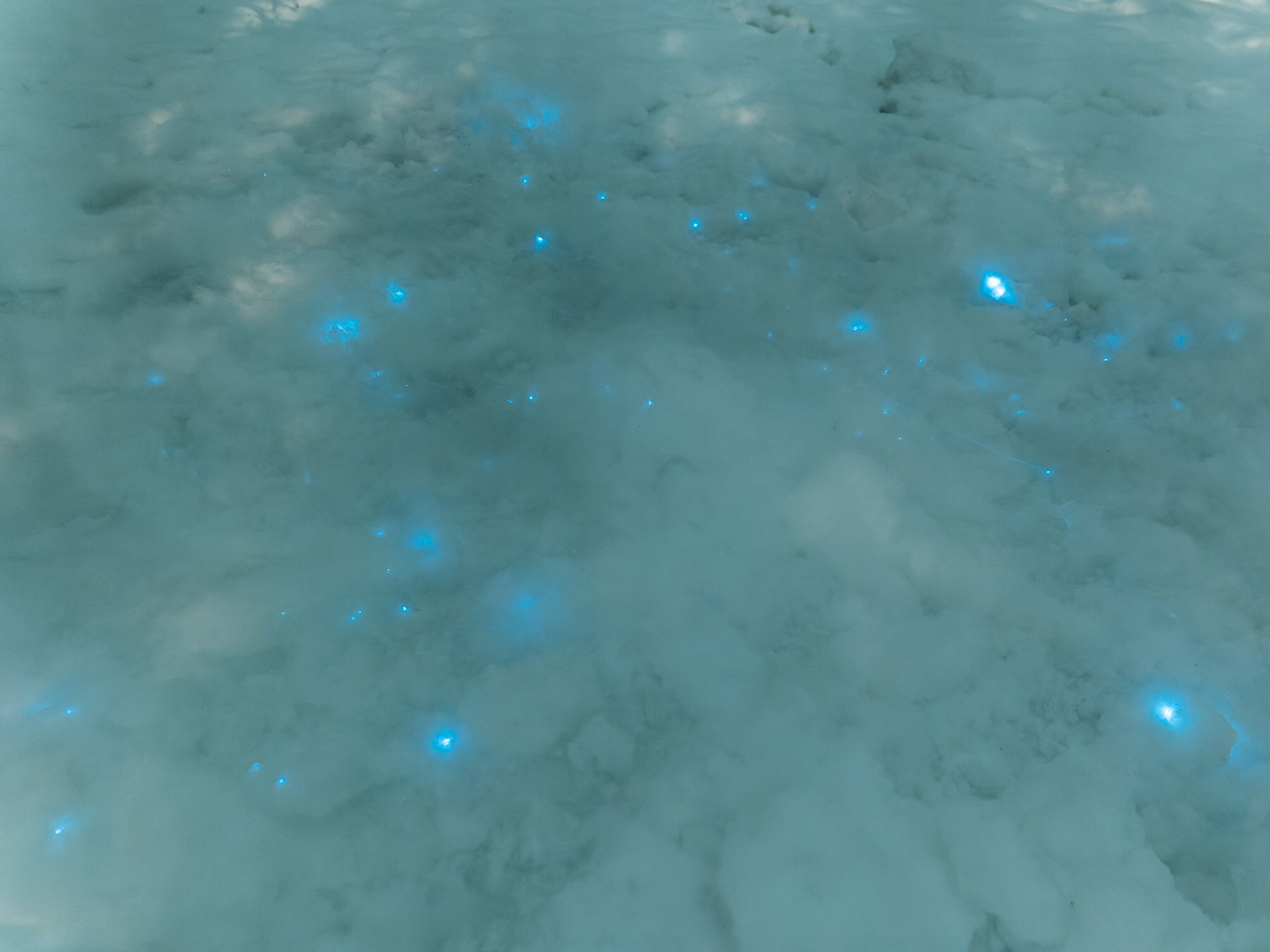 Spongebob Water Texture