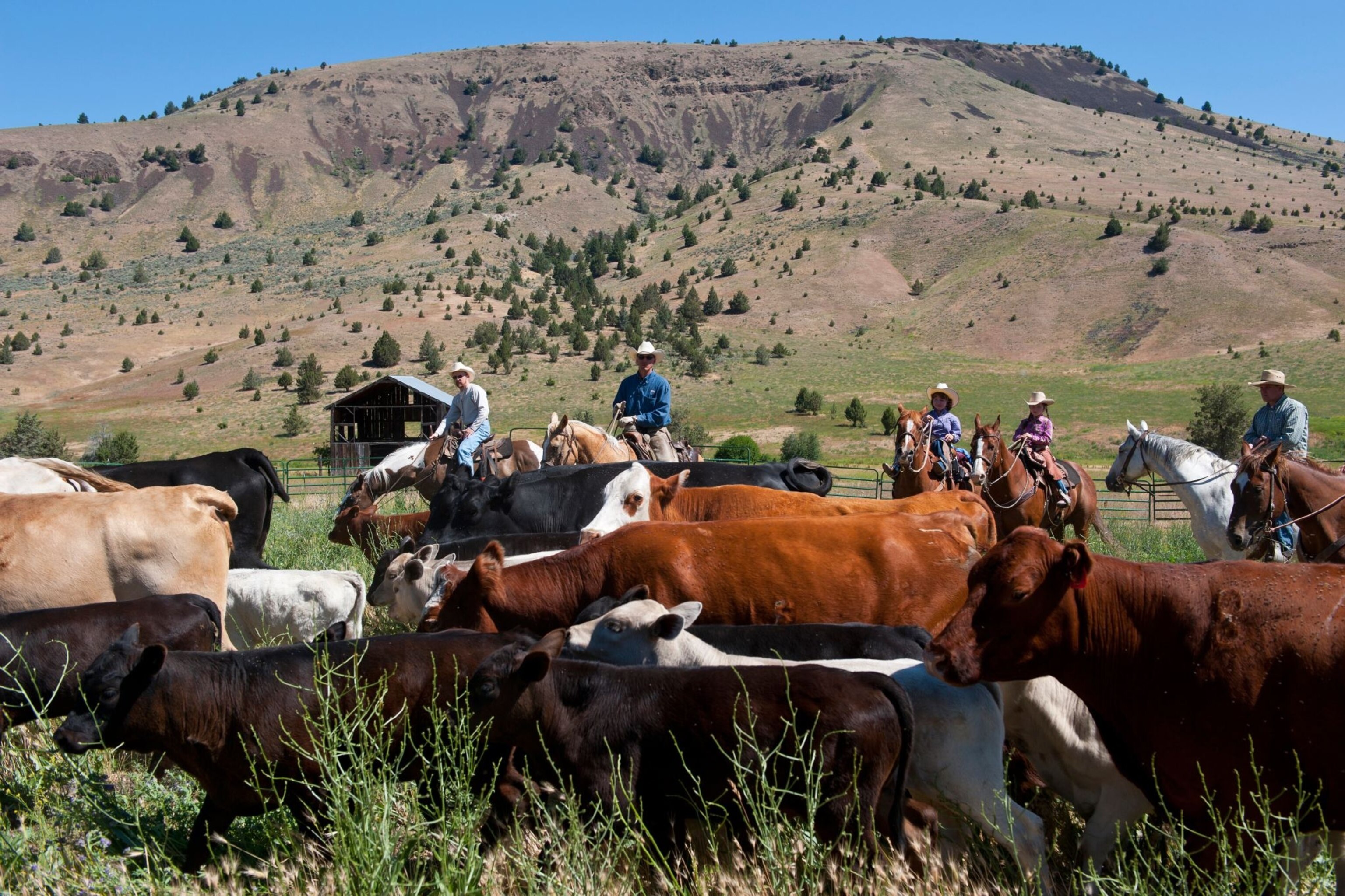 See the best of the West at these family ranches