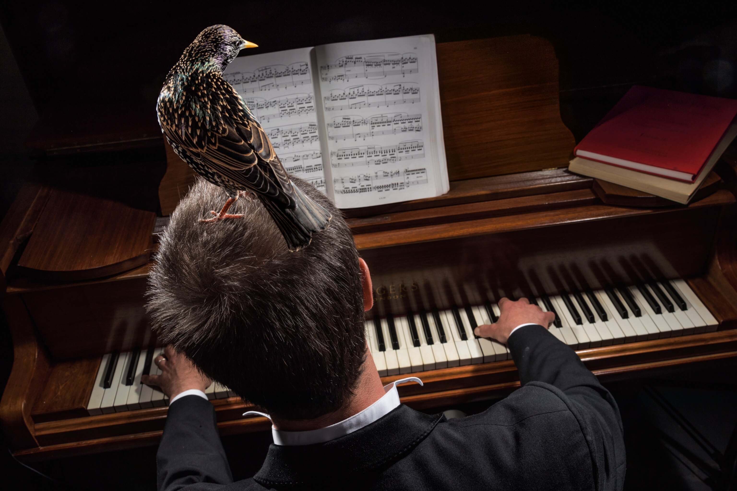 Life through the lens: Charlie Hamilton James