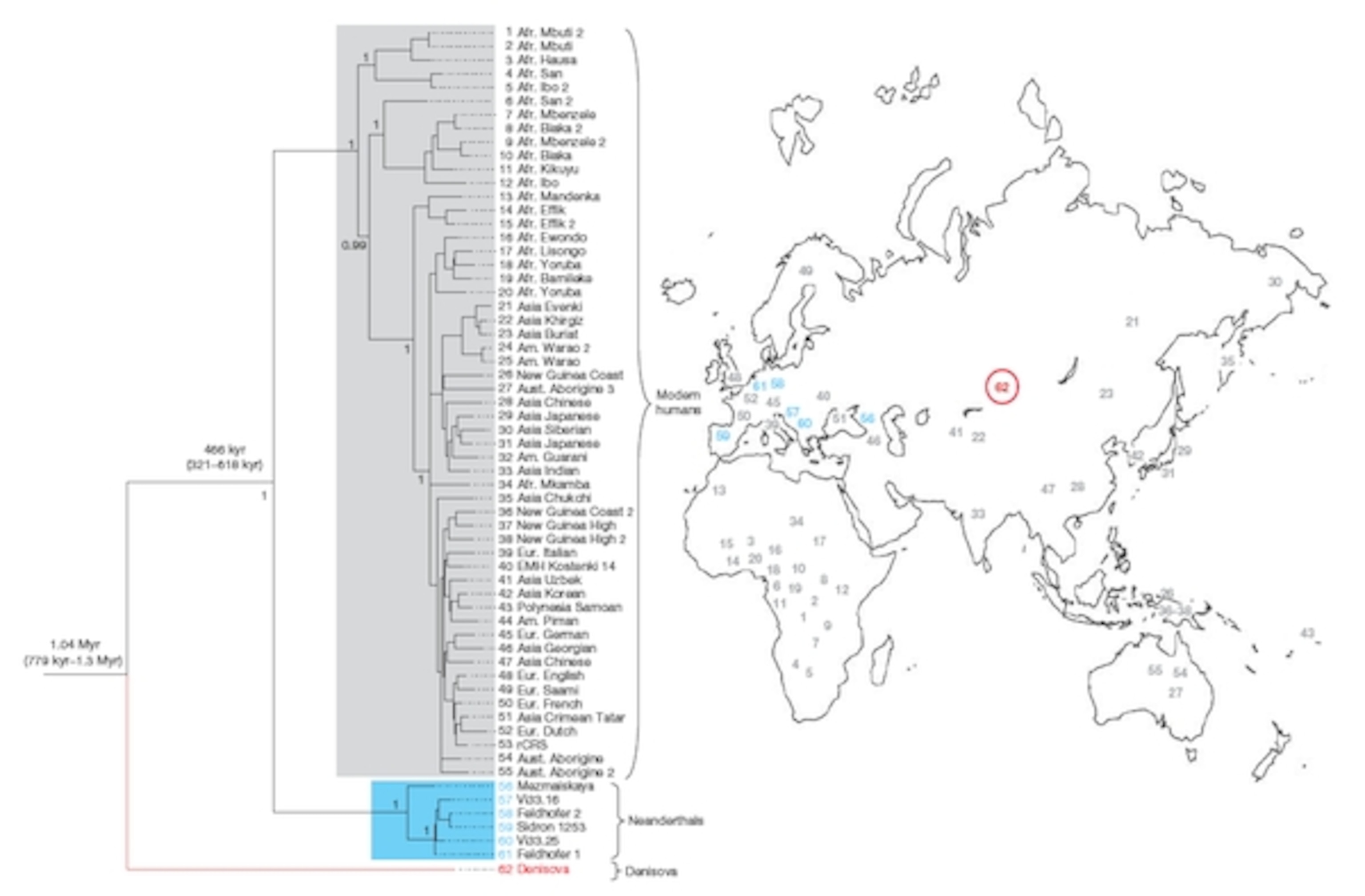 The X-Woman's Fingerbone