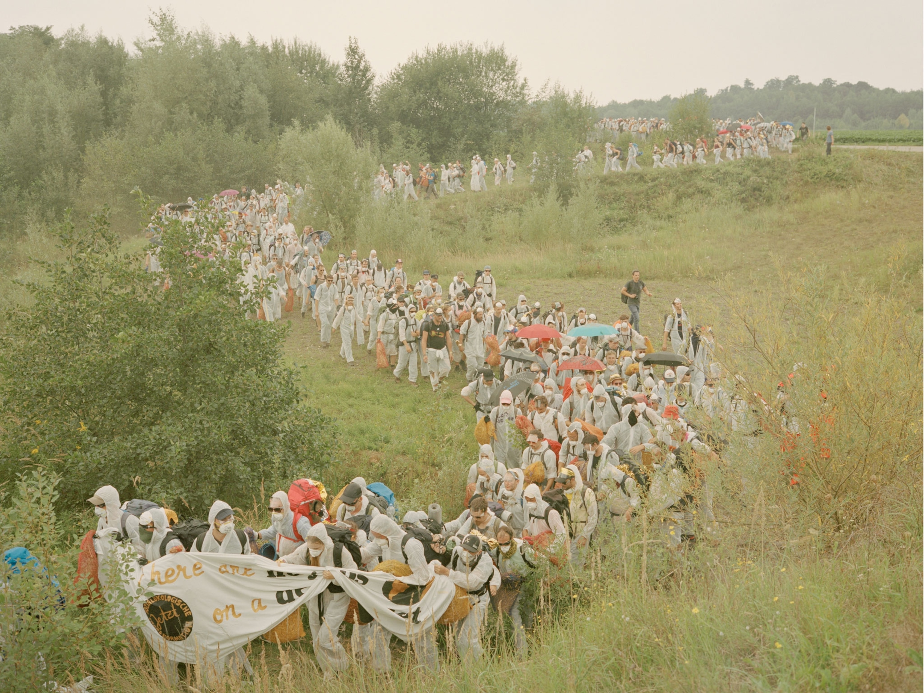 Photos of protests in Germany's Hambach forest