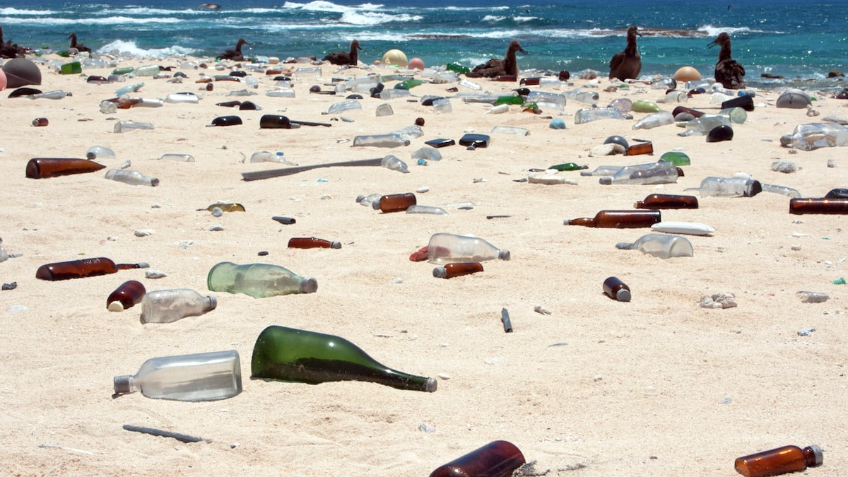 Sustainable Earth: Oceans - National Geographic | National Geographic