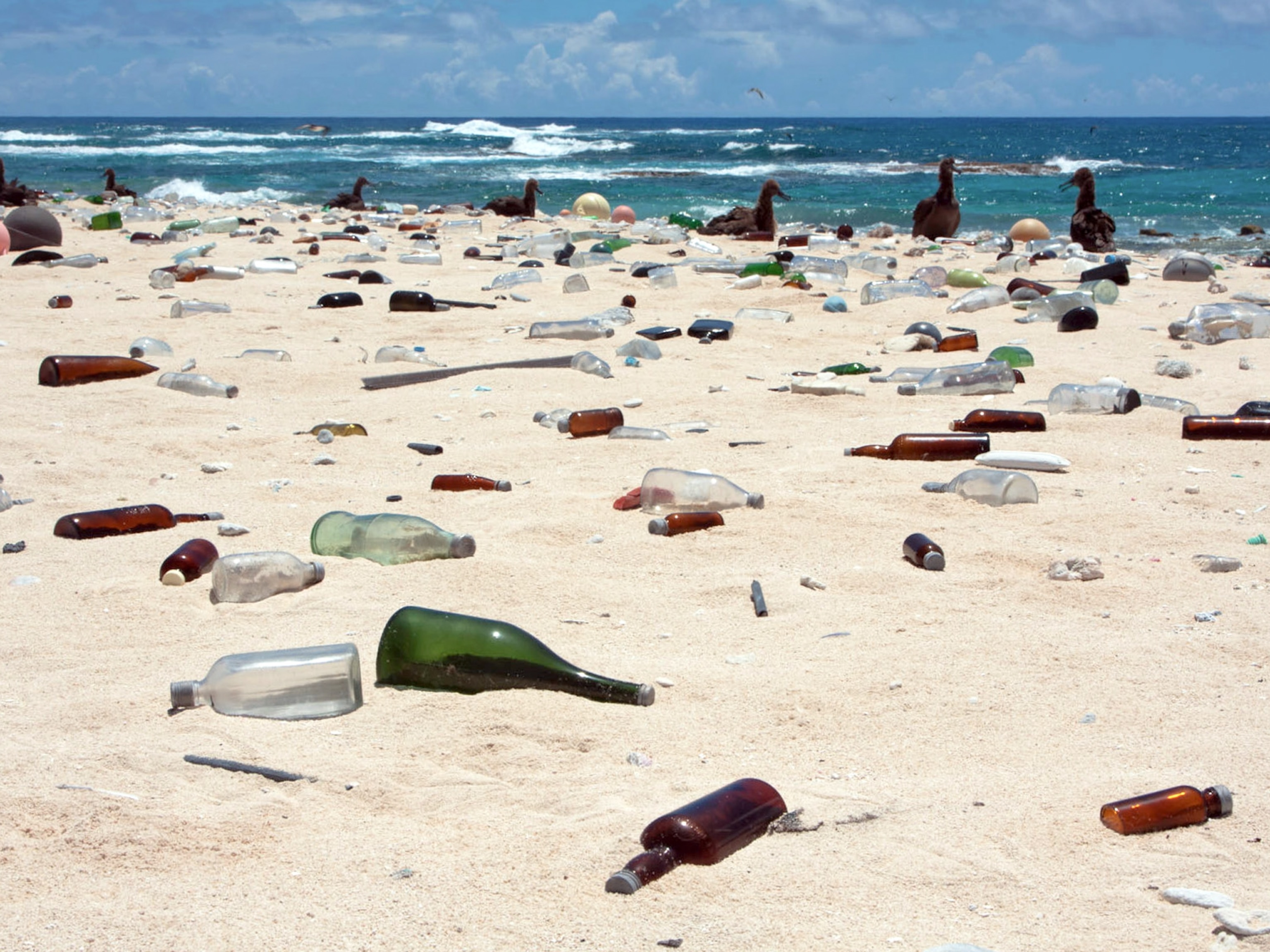 Sustainable Earth: Oceans - National Geographic