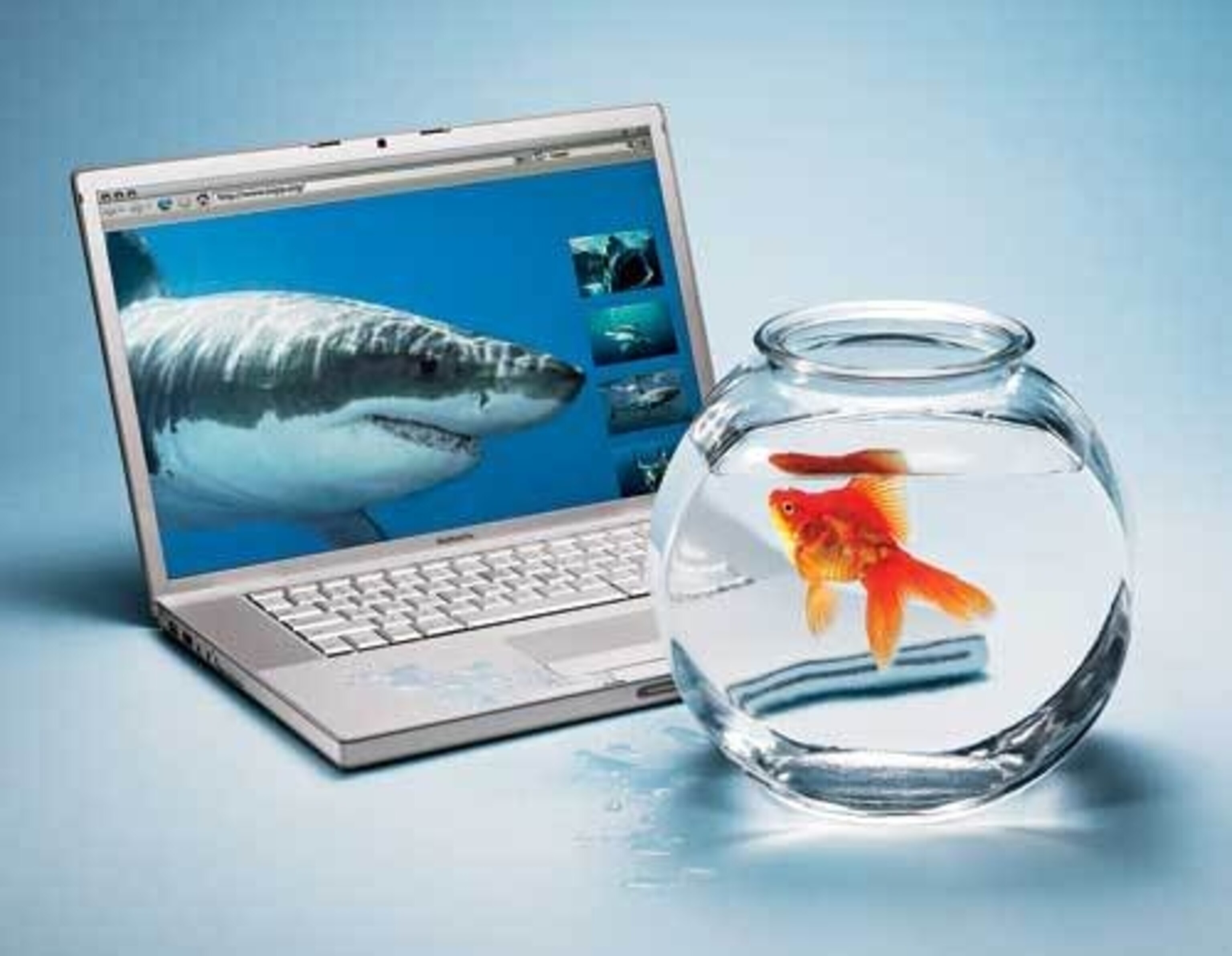 A Deeper Connection: Facebook for Fish | National Geographic