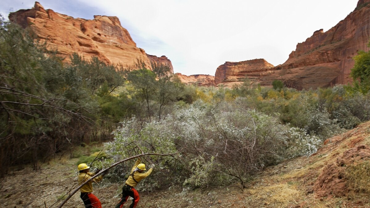 Grand Canyon Natonal Park River Ecosystem Threatened by Kazakhstan ...