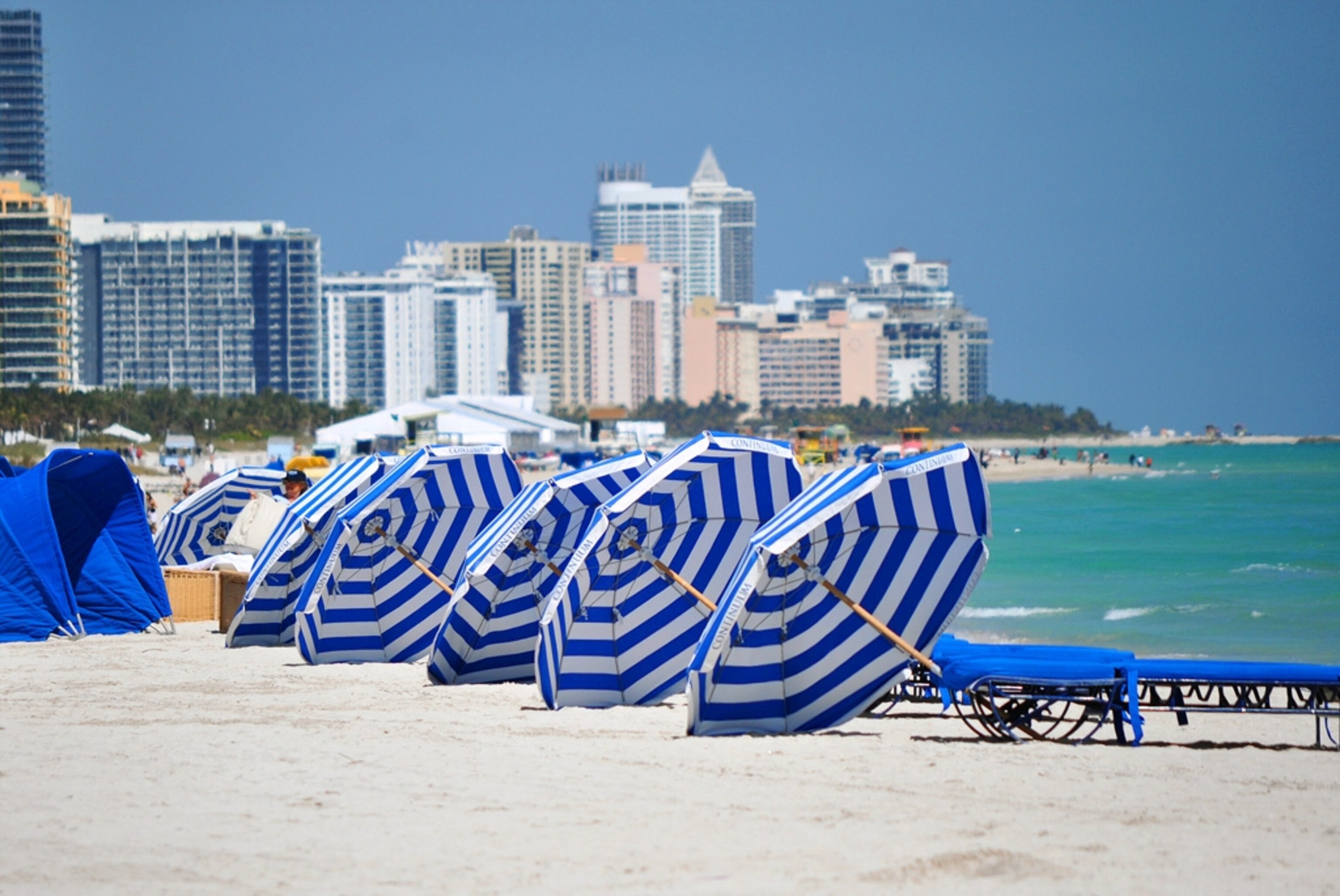 Sonia’s Miami | National Geographic