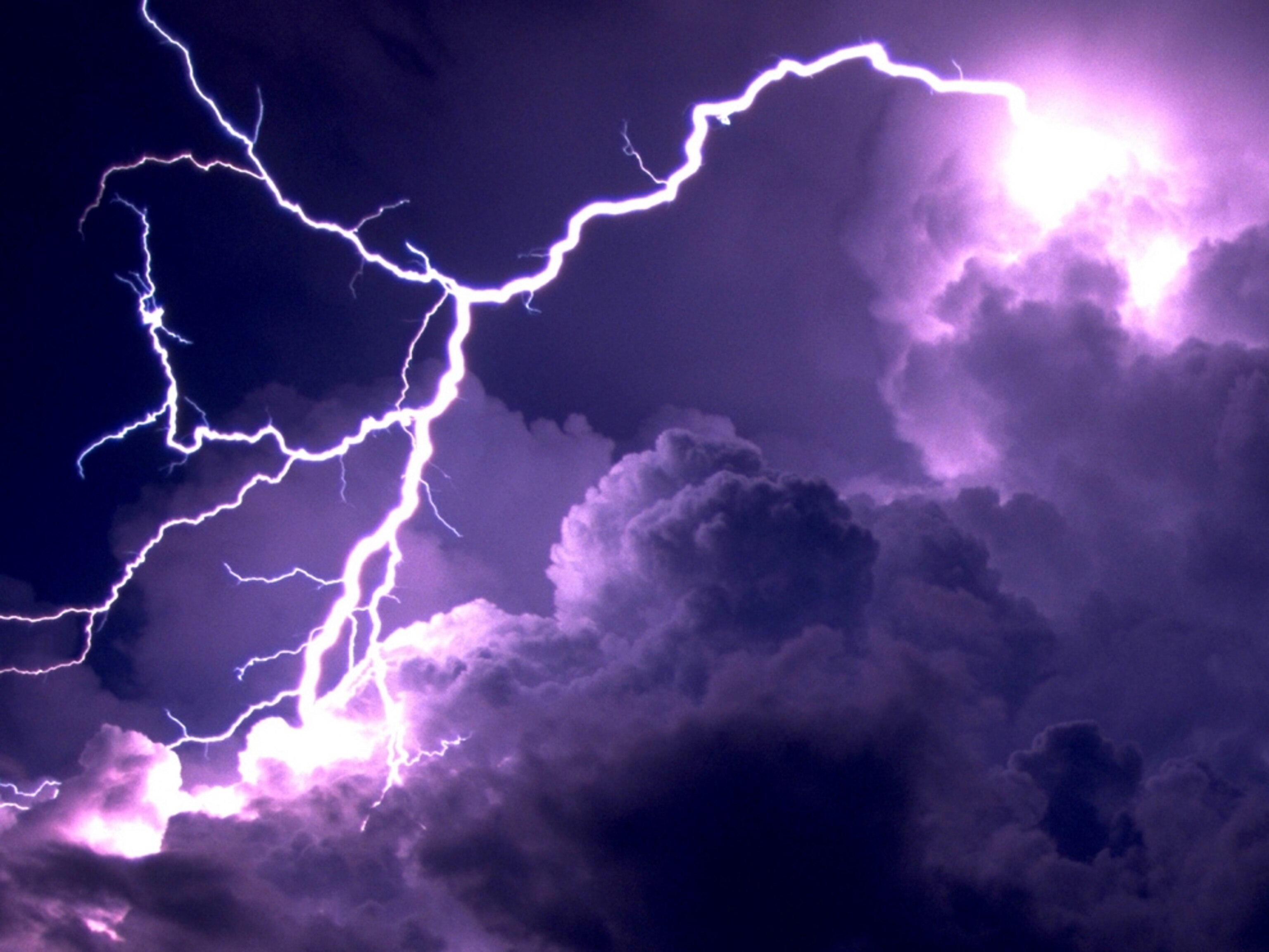 Biomimicry Pictures: Nature Yields New Ideas for Renewable Energy and ...